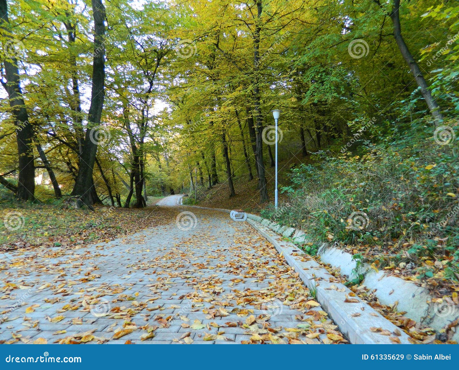 Autumn path stock image. Image of light, fall, landscape - 61335629