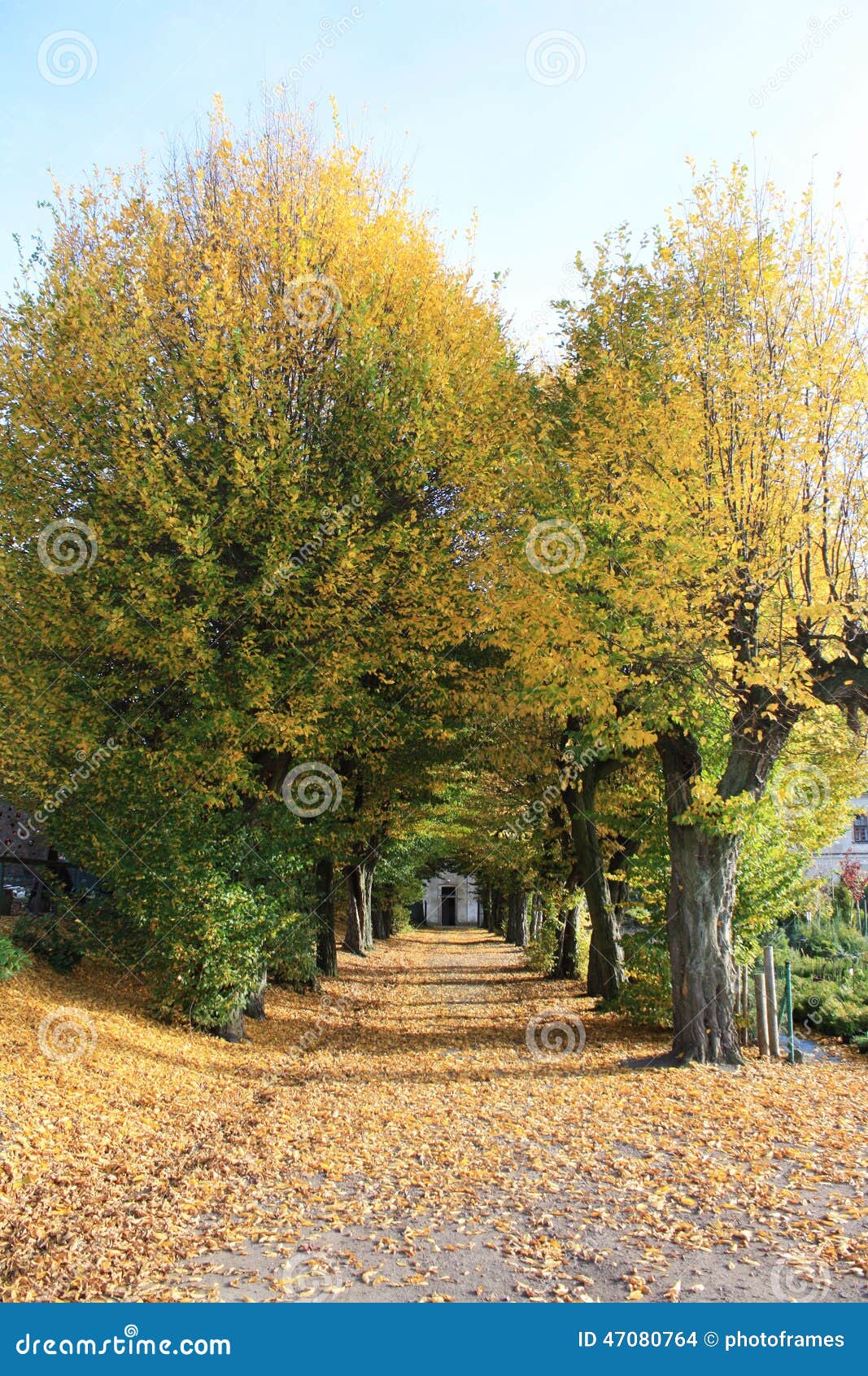 Autumn path to church stock photo. Image of november - 47080764