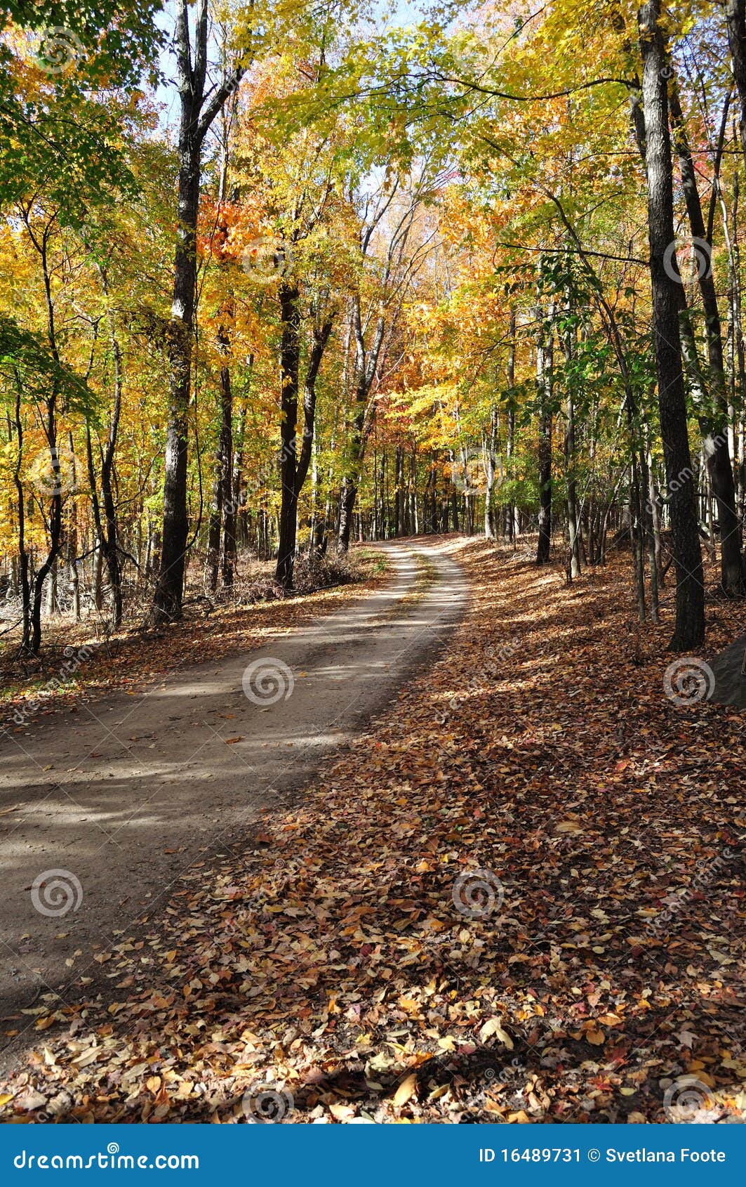 Autumn Pathway stock image. Image of pathway, park, beauty - 16489731