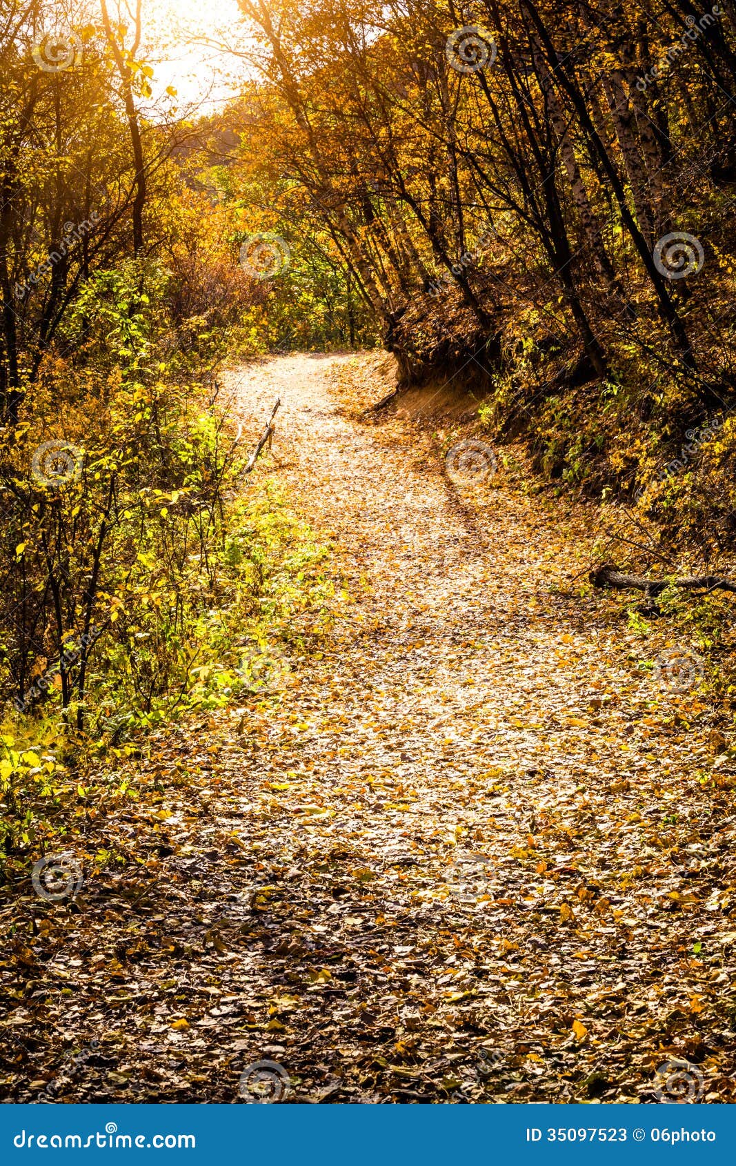 Autumn Pathway stock image. Image of path, abstract, forest - 35097523