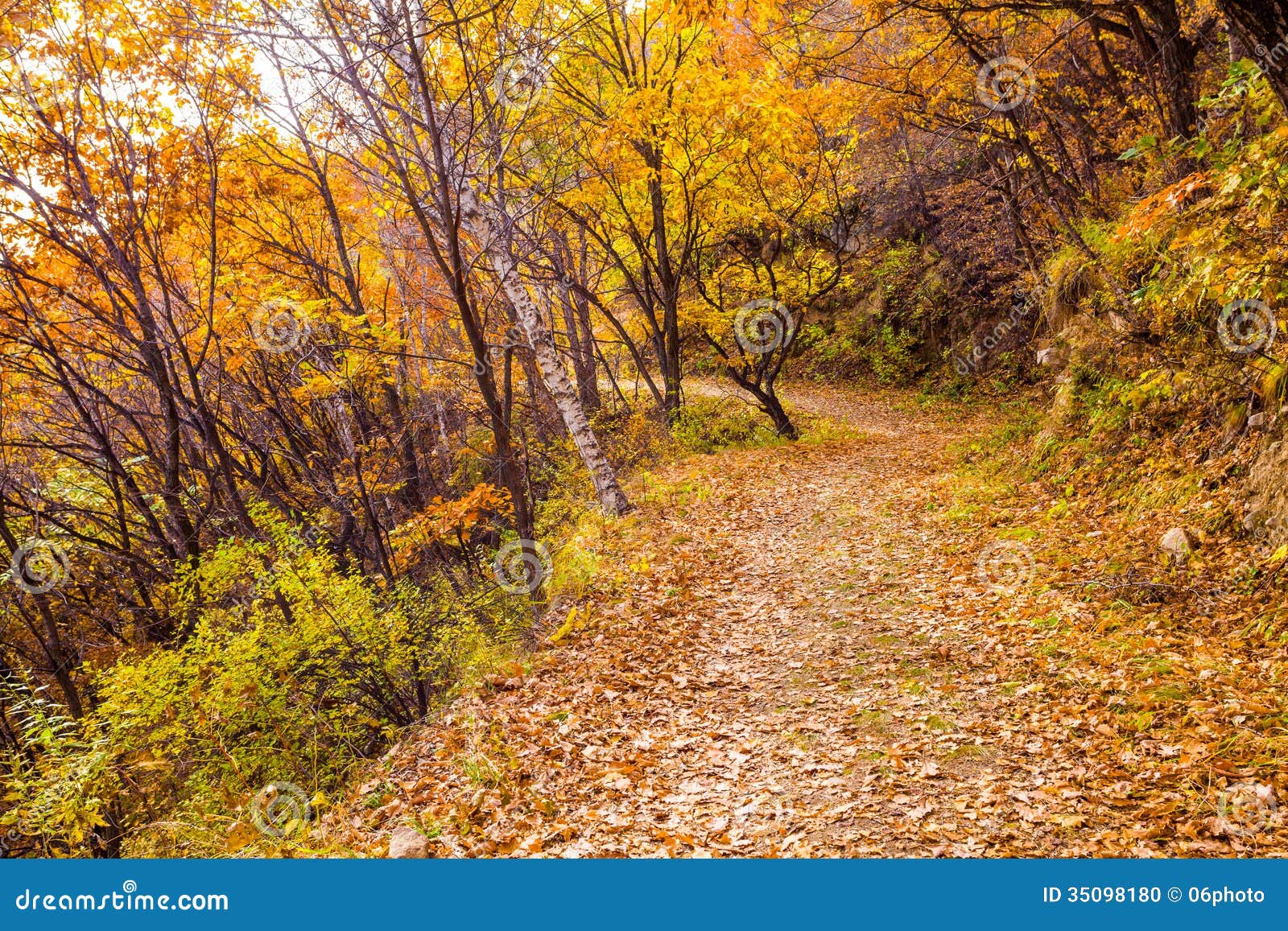 Autumn Pathway stock photo. Image of fall, landscape - 35098180