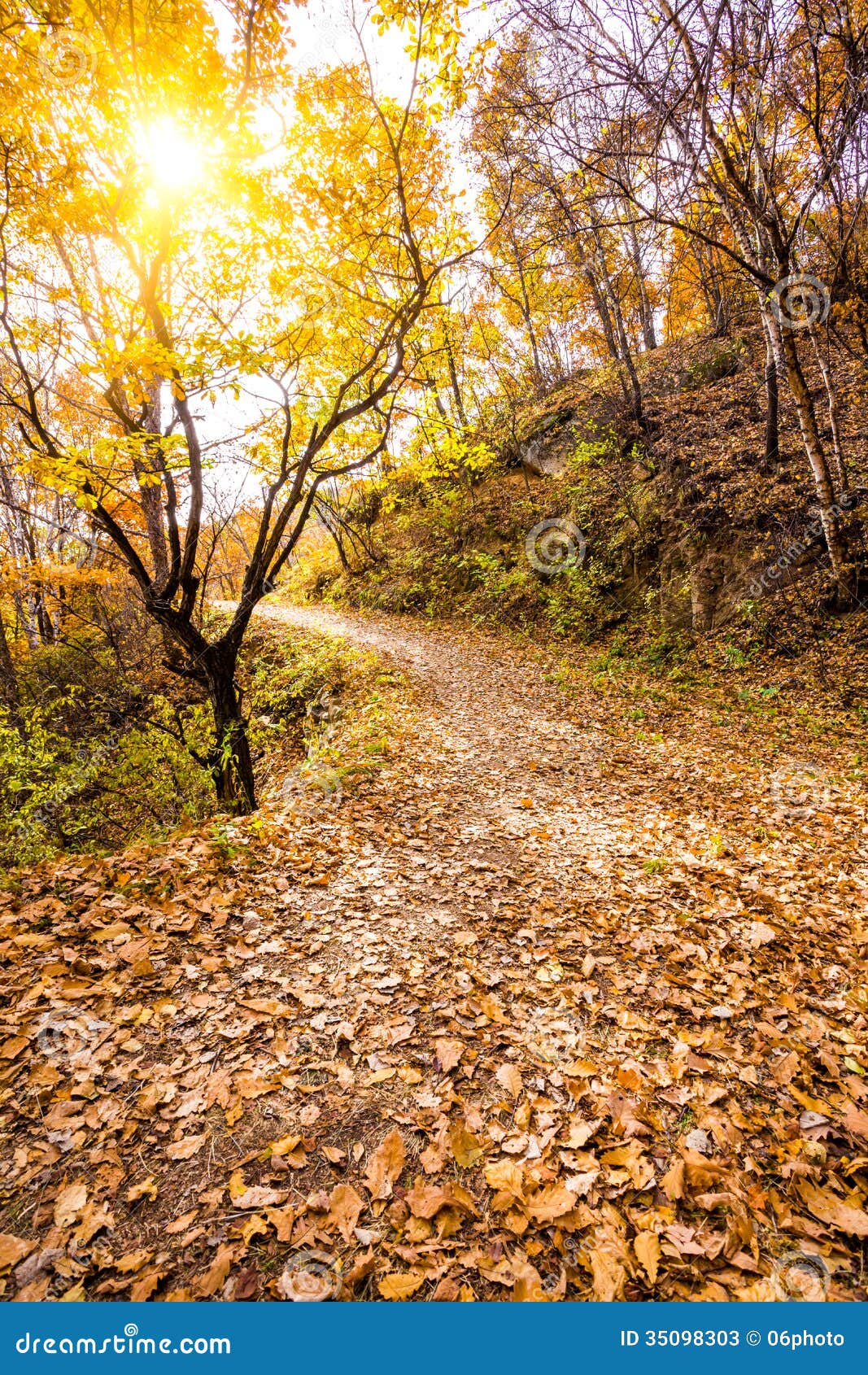 Autumn Pathway imagen de archivo. Imagen de camino, bosque - 35098303