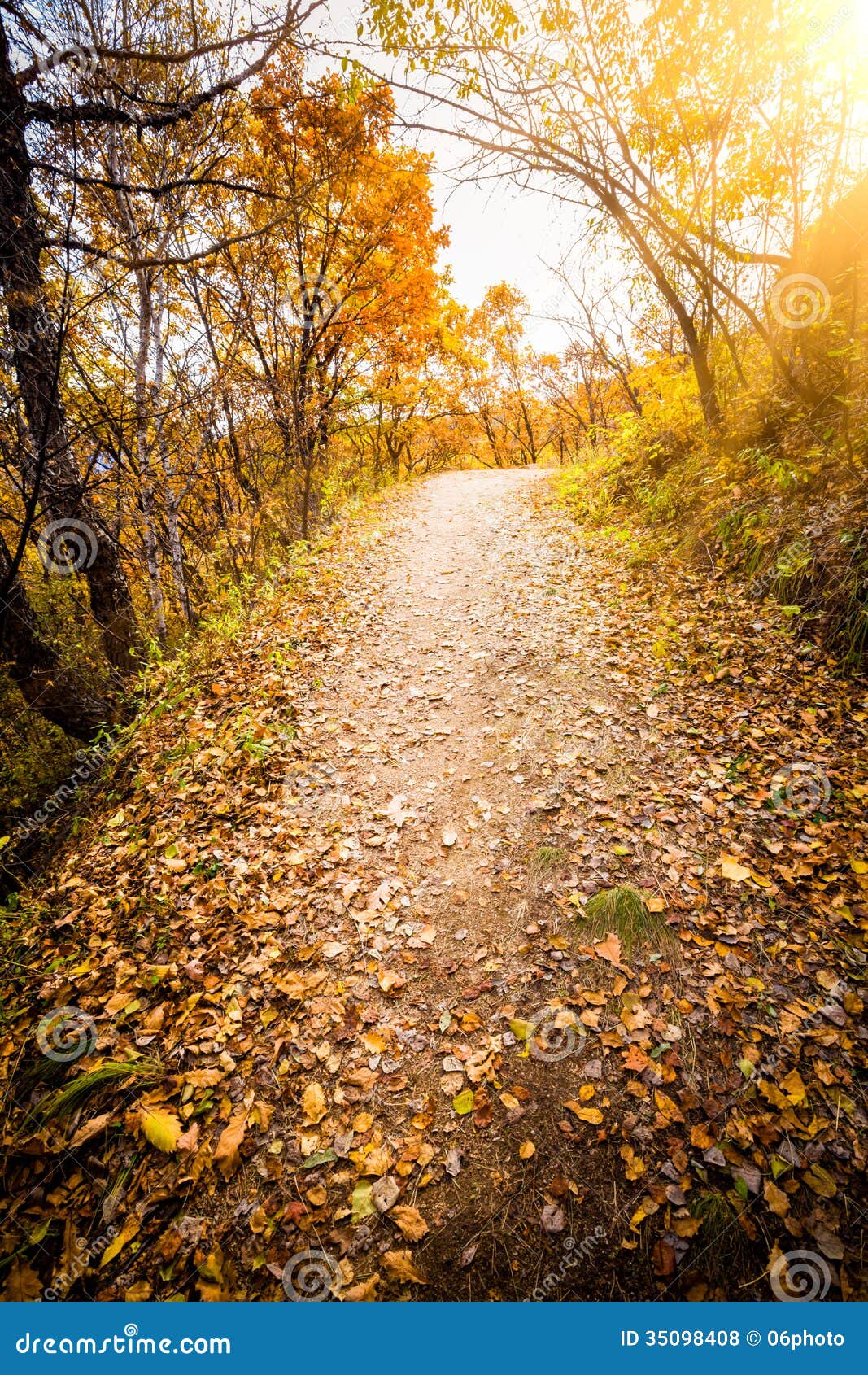 Autumn Pathway stock photo. Image of natural, autumnal - 35098408