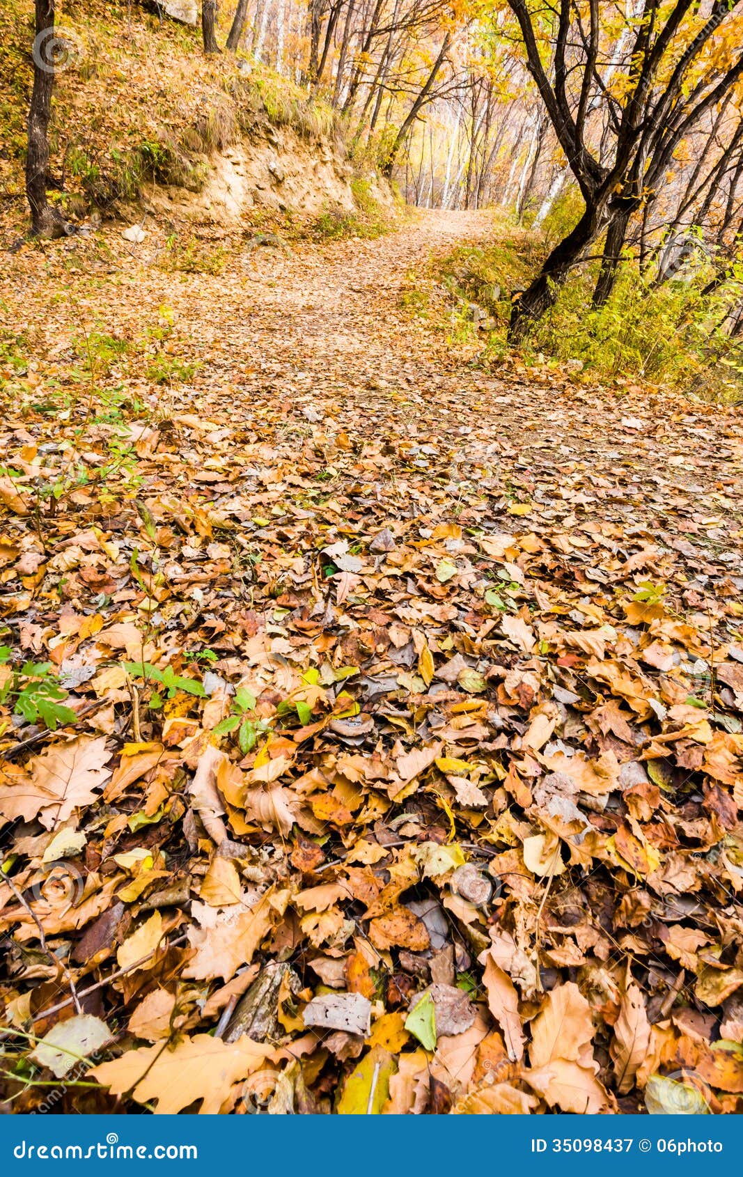 Autumn Pathway stock image. Image of beauty, shadow, nature - 35098437