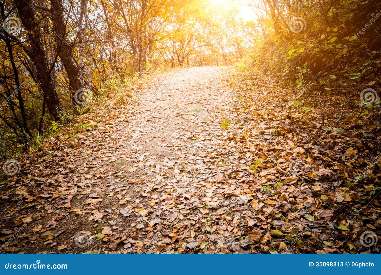 Autumn Pathway stock image. Image of holiday, pathway - 35098813