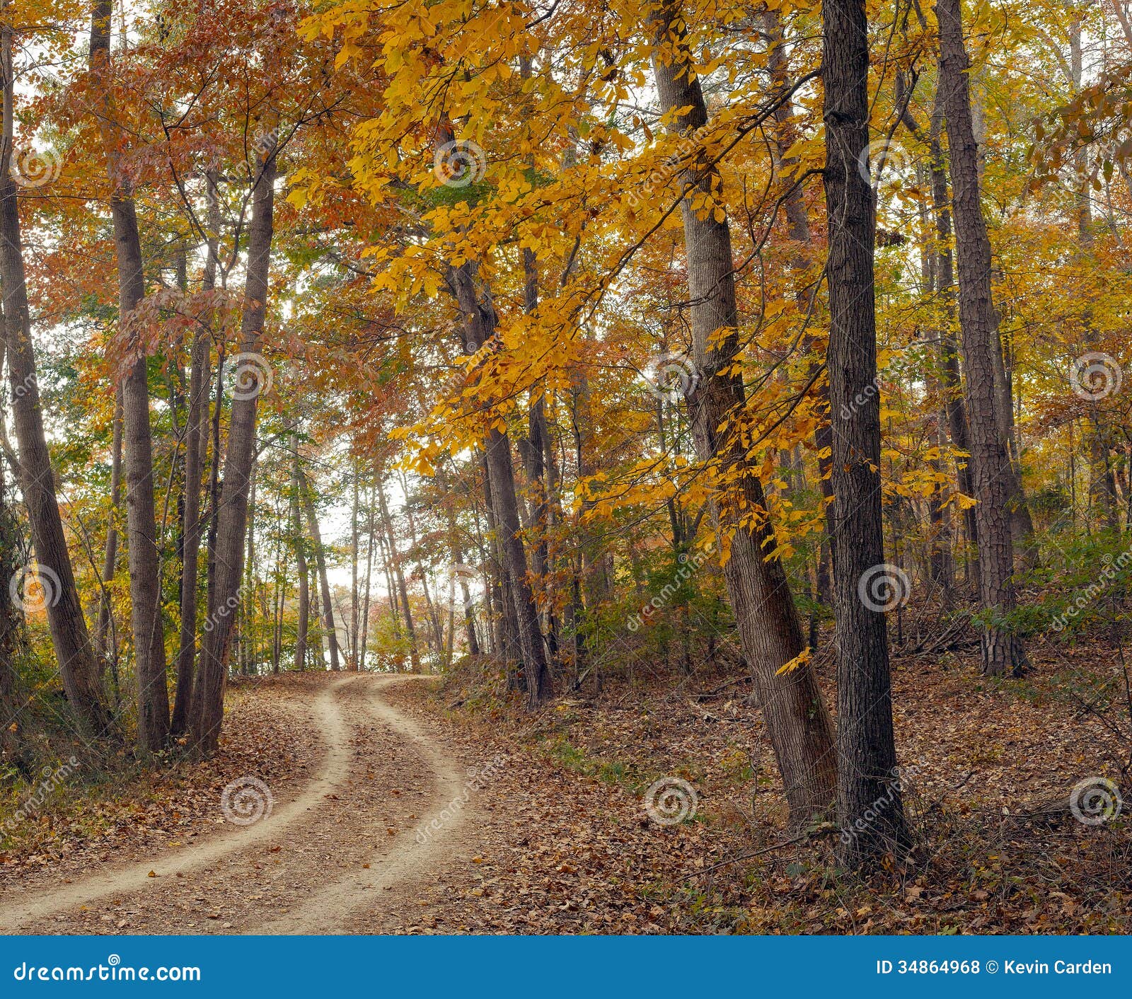 Autumn pathway stock photo. Image of park, color, path - 34864968