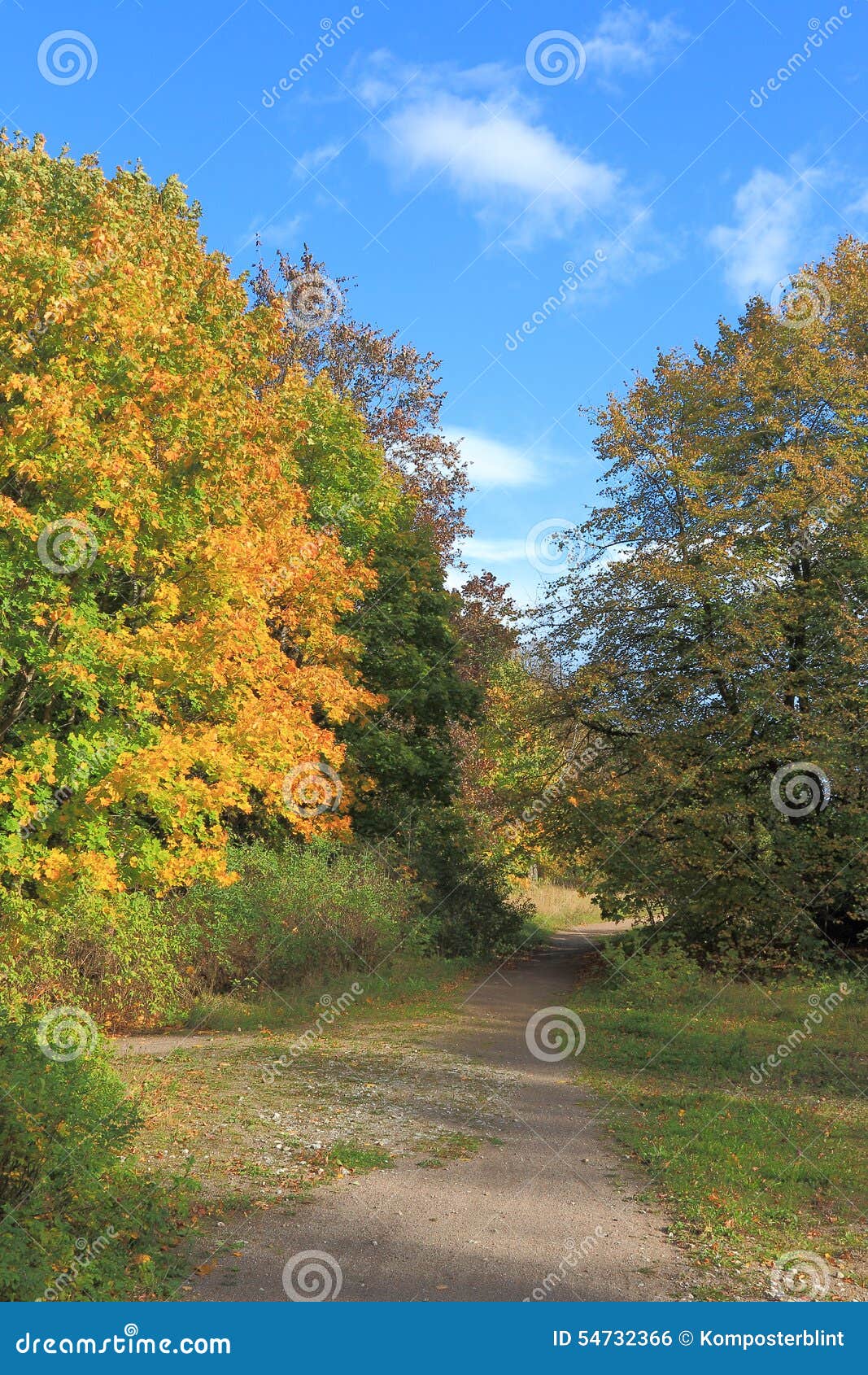 Autumn pathway stock photo. Image of clouds, shrubs, sunny - 54732366