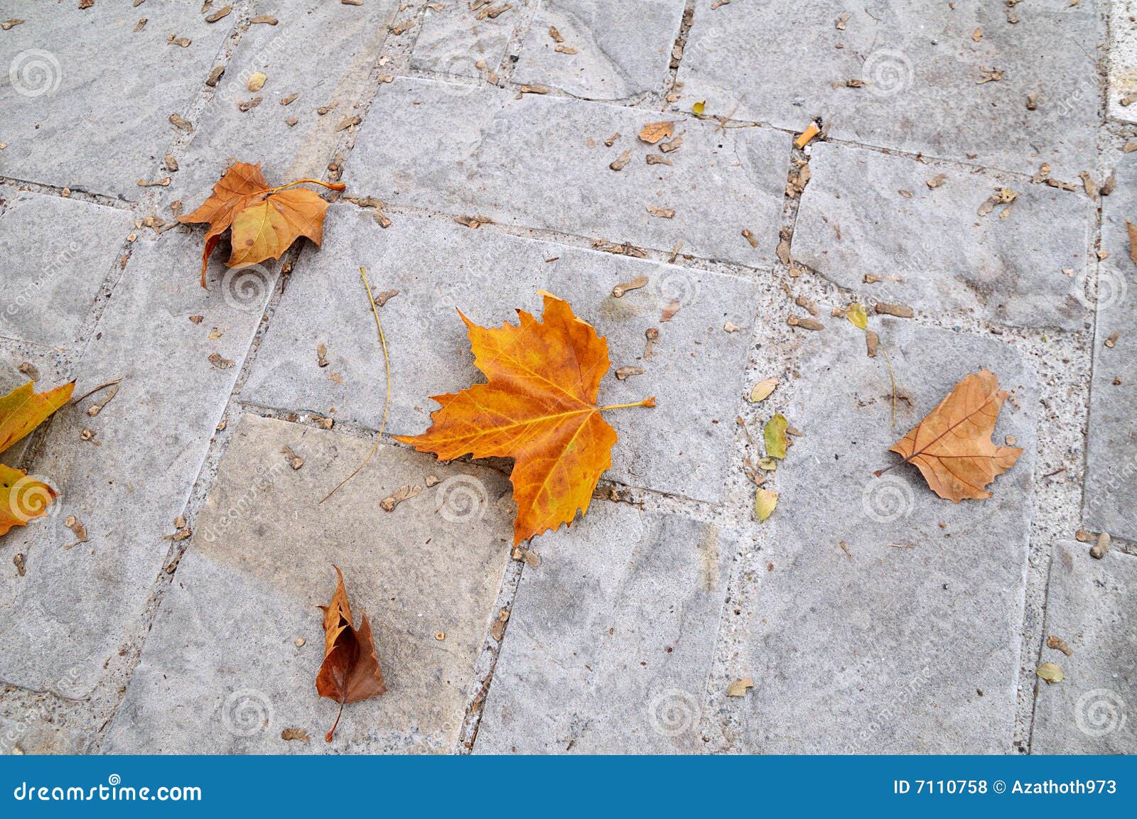 Autumn Pavement 2 stock photo. Image of sadness, bricks - 7110758