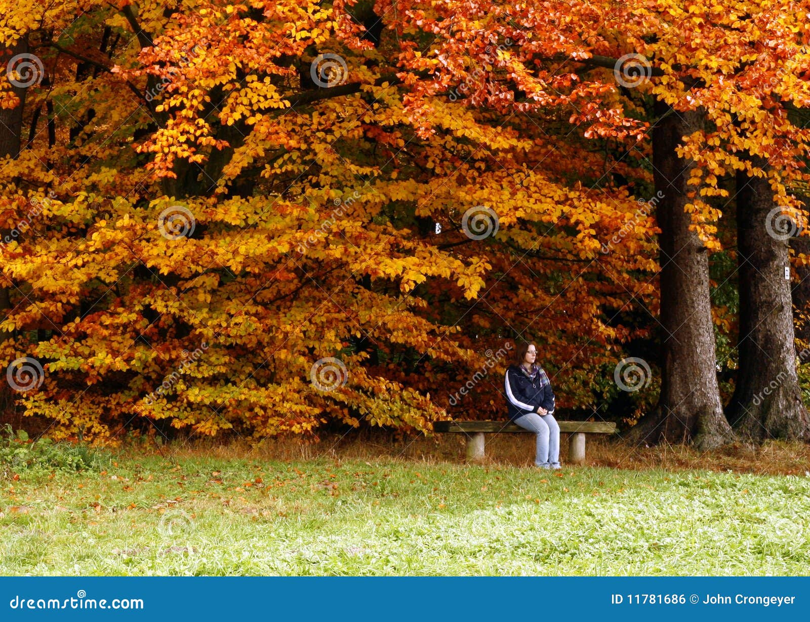 Autumn Peace stock photo. Image of blooming, colored - 11781686