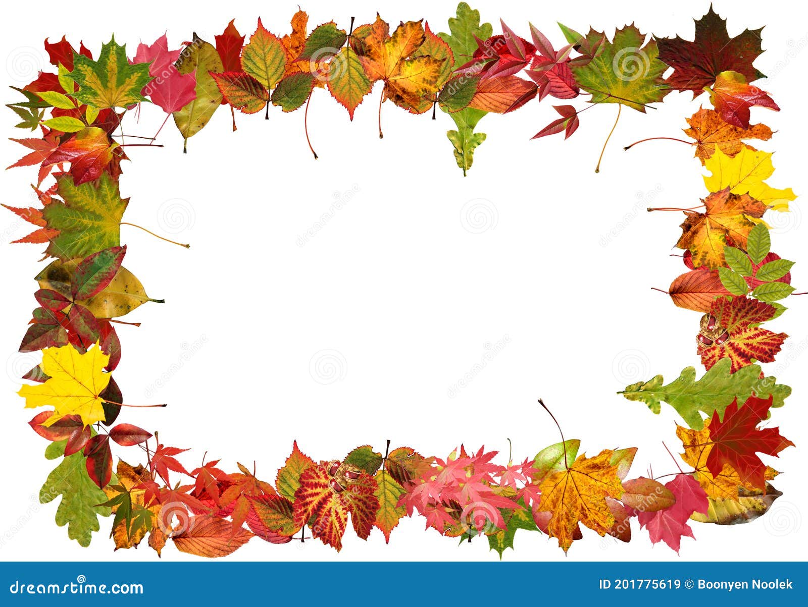 Autumn Photo Frames Made of Autumn Leaves Stock Illustration ...