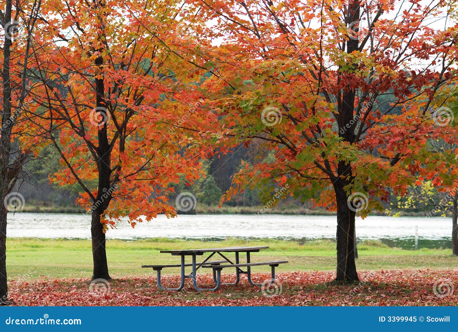 Autumn Picnic Scene stock image. Image of table, autumn - 3399945