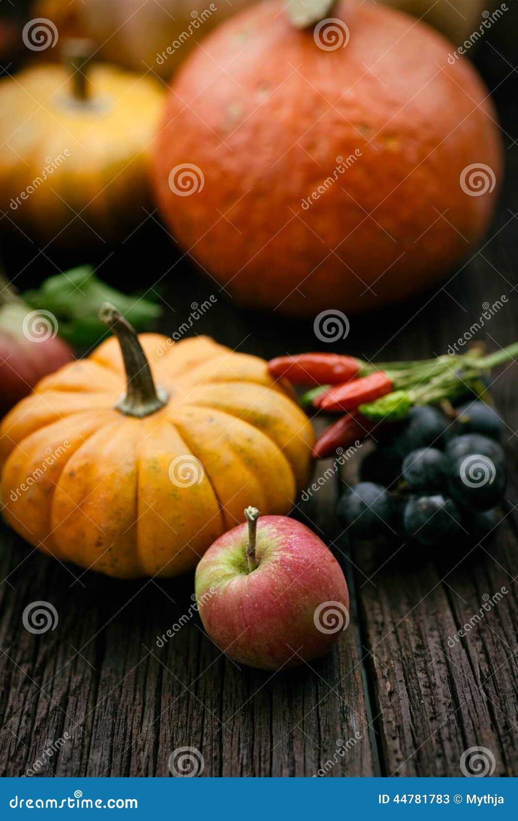 Autumn place setting stock image. Image of food, drink - 44781783