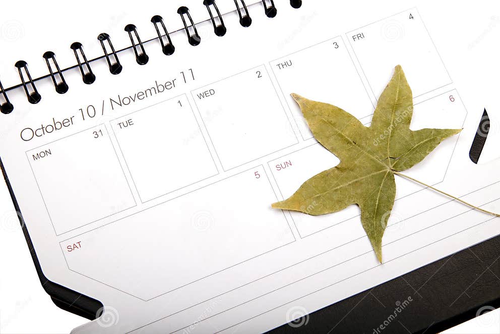 Autumn plan stock photo. Image of foliage, deadline, page - 20993690