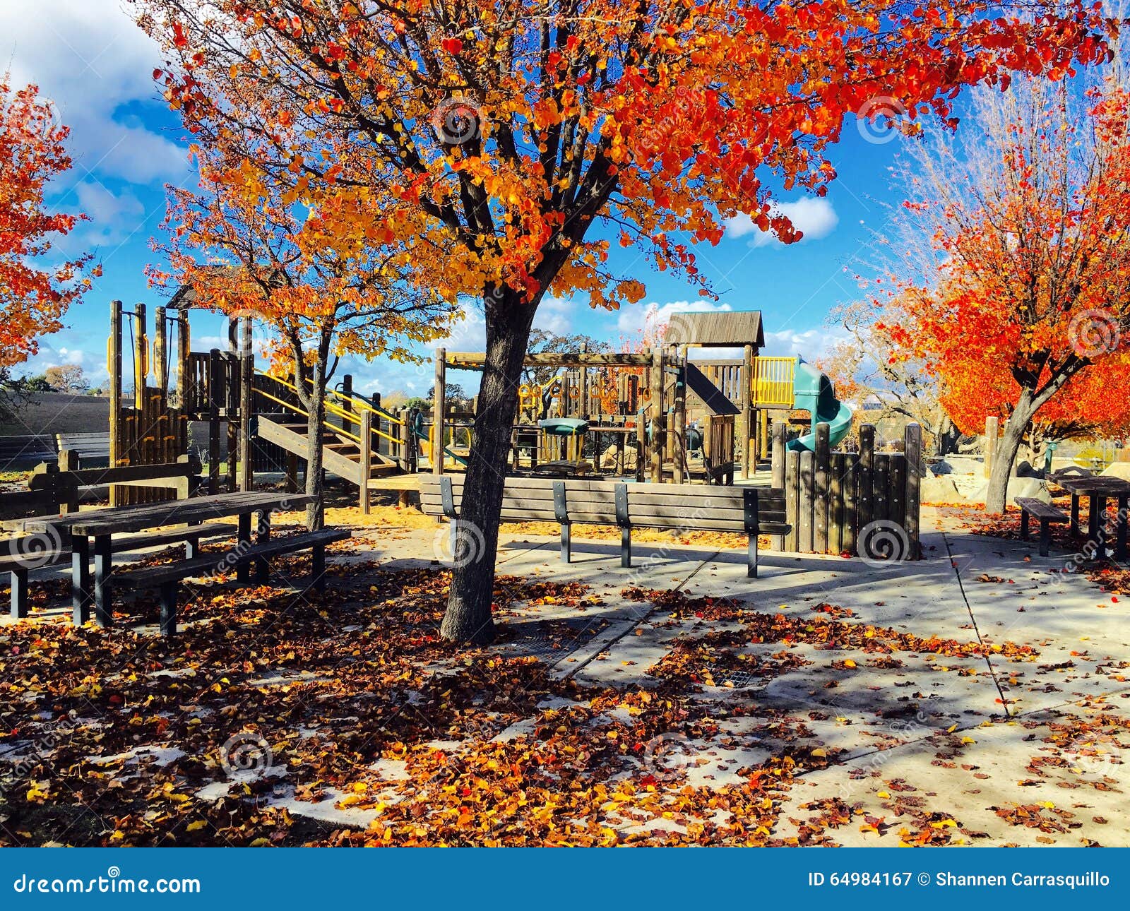 Autumn play stock image. Image of playground, tree, autumn - 64984167