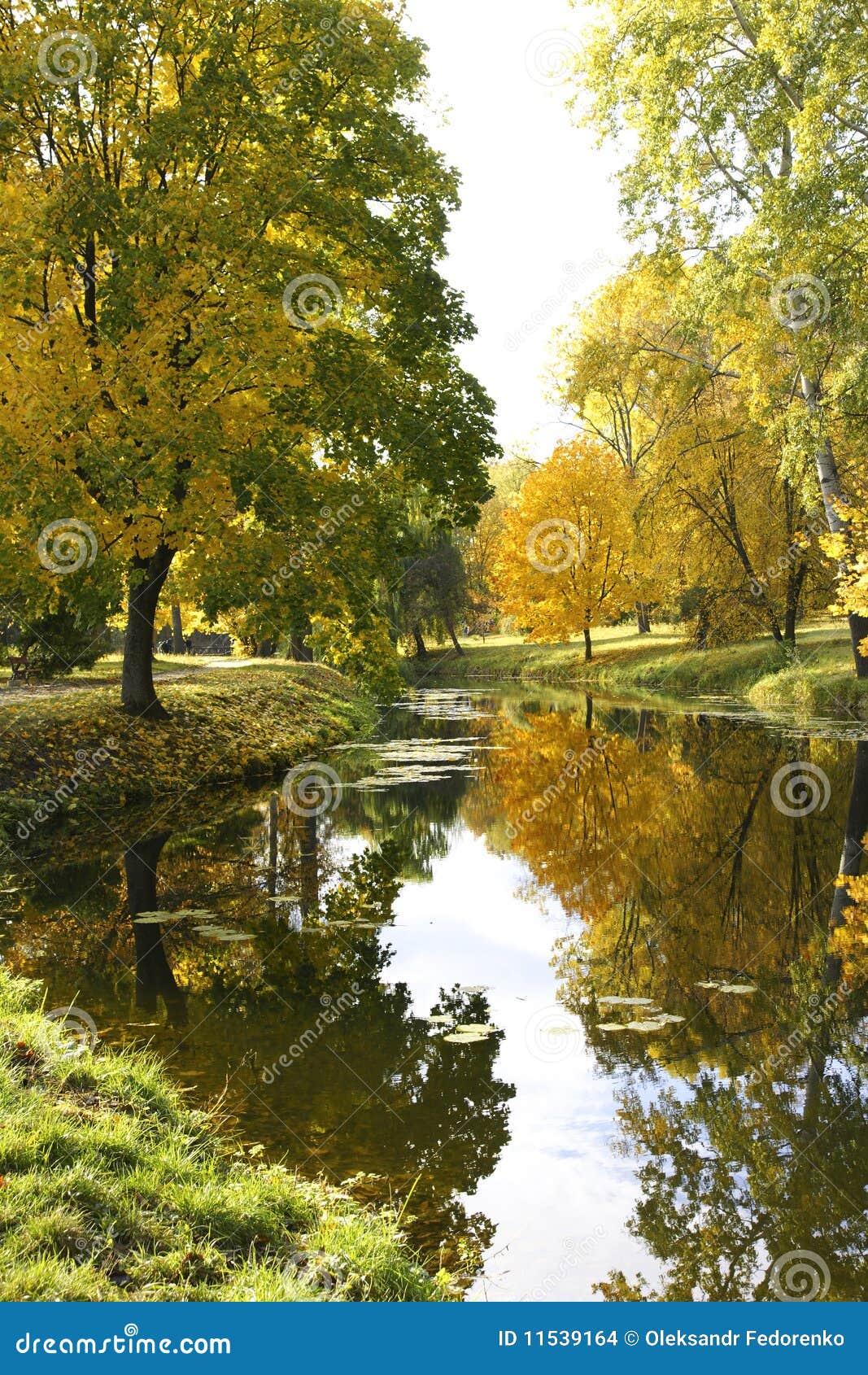 Autumn pond. stock photo. Image of pond, beautifully - 11539164