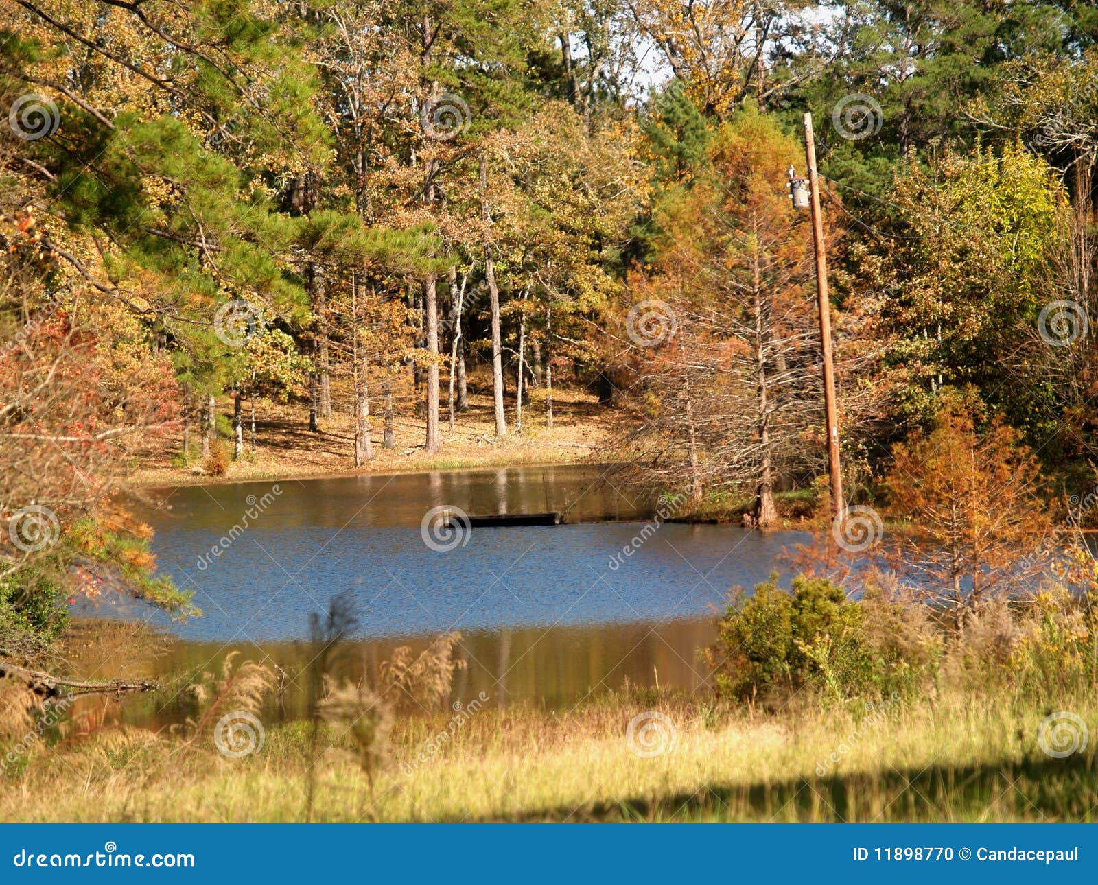 Autumn Pond stock photo. Image of leaves, pond, orange - 11898770