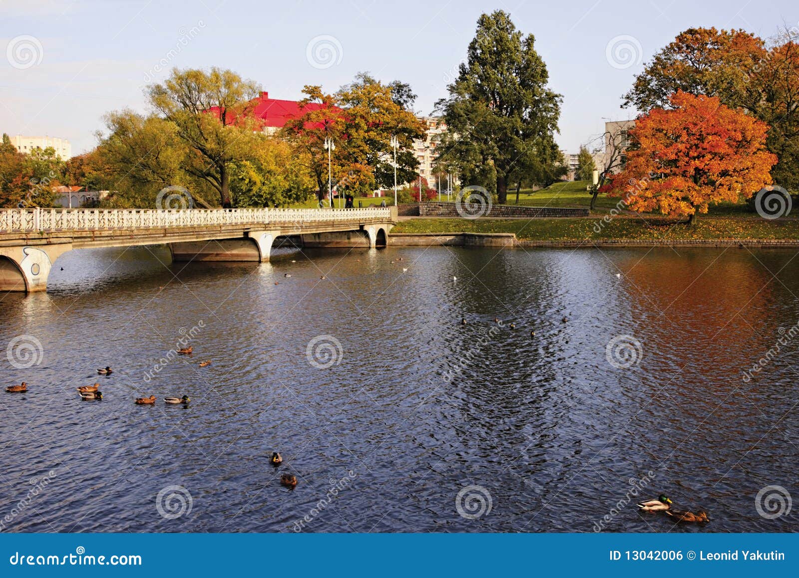 Autumn pond stock photo. Image of park, trees, kaliningrad - 13042006
