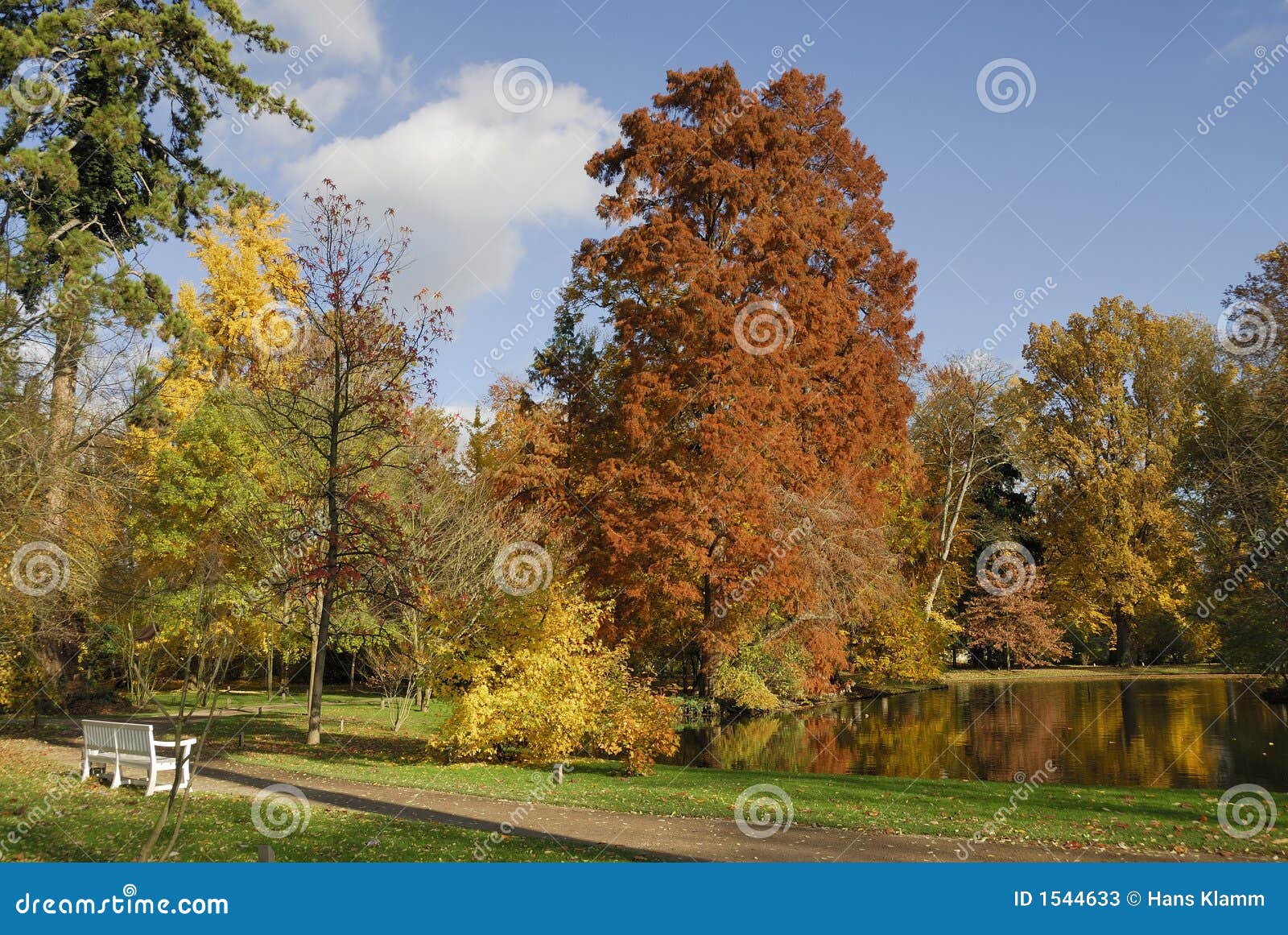 Autumn Pond stock image. Image of blue, park, clouds, trees - 1544633