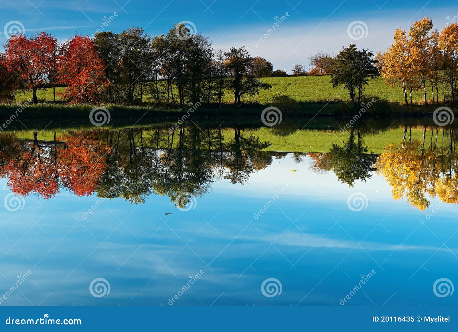 Autumn pond stock image. Image of rural, outdoor, horizon - 20116435