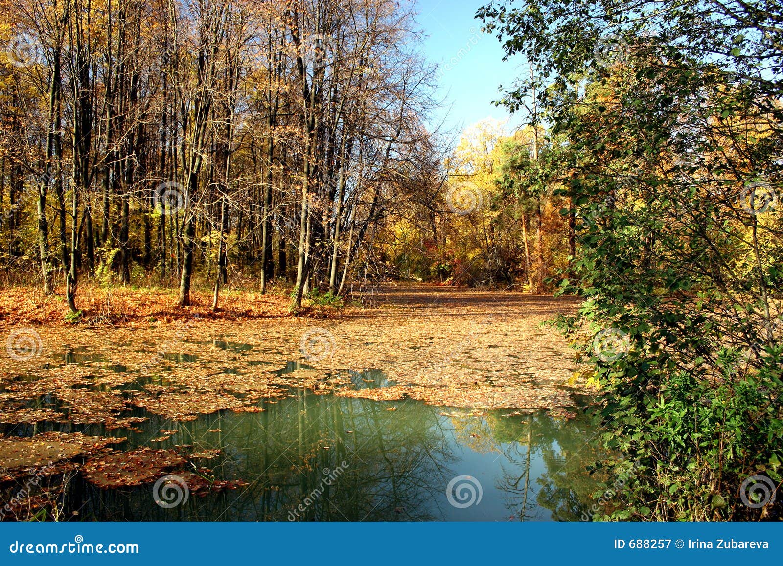 Autumn pond. stock image. Image of moscow, bridge, park - 688257
