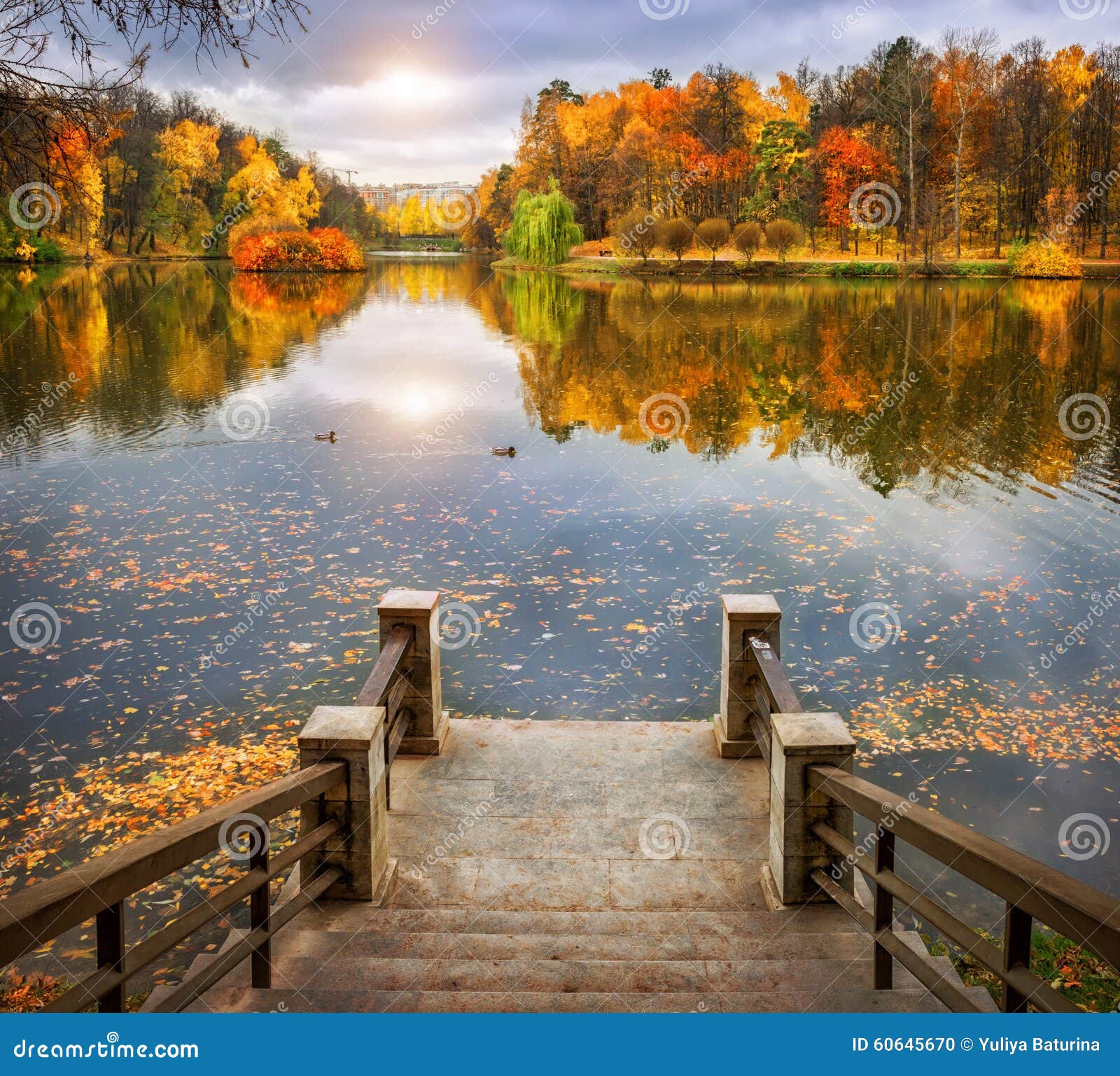 Autumn pond stock photo. Image of walking, russia, gold - 60645670