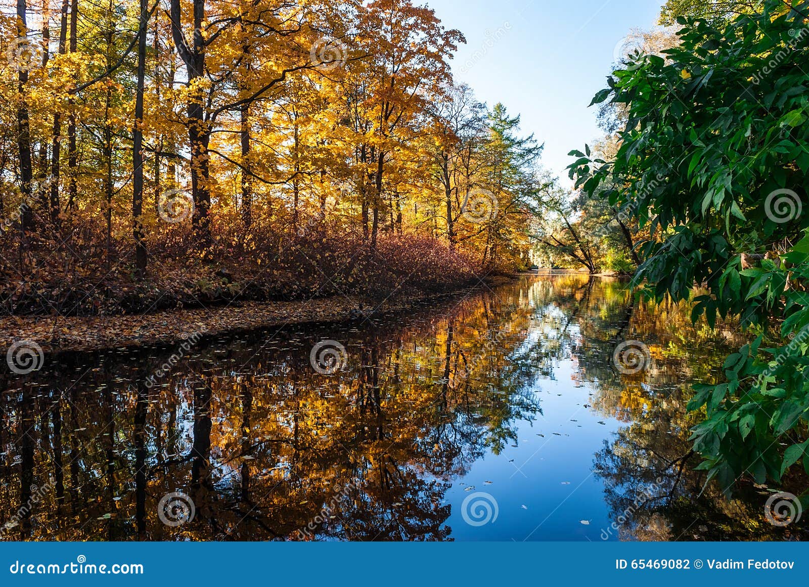 Autumn pond in park stock photo. Image of clear, perspective - 65469082