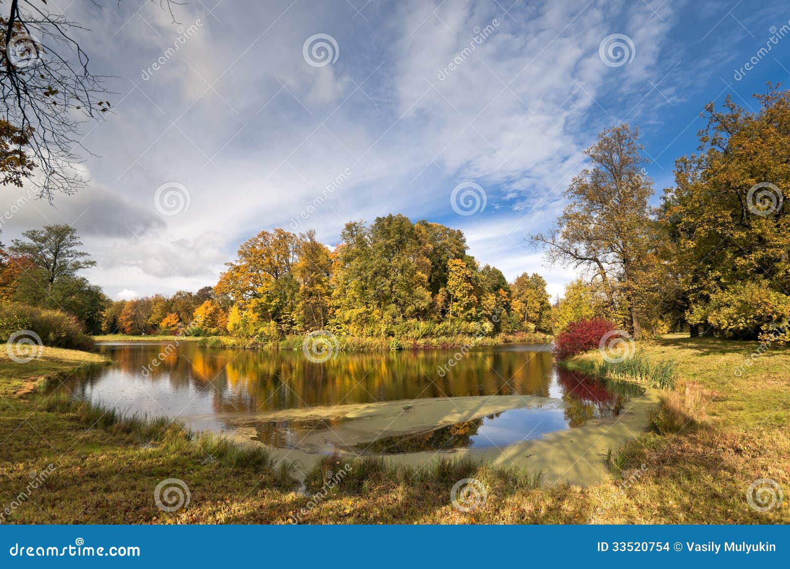 Autumn pond stock photo. Image of sunny, openair, nature - 33520754