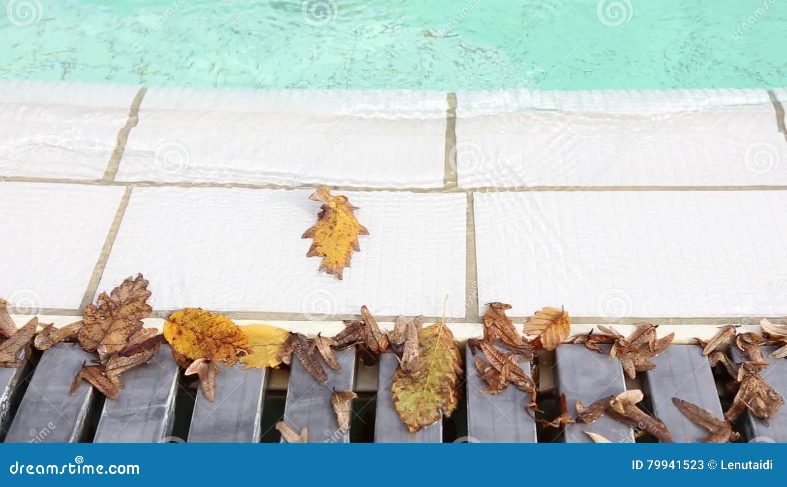 Autumn at the pool stock video. Video of edge, relaxation - 79941523