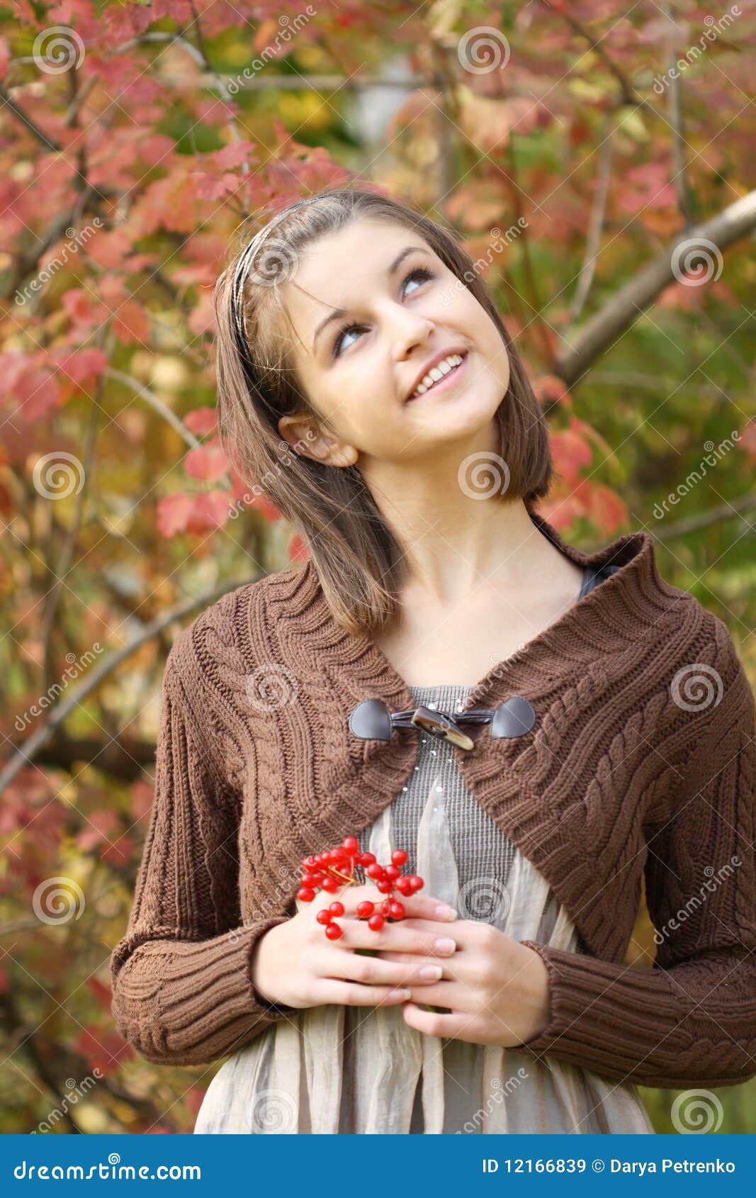 Autumn Portrait stock image. Image of leaves, autumn - 12166839
