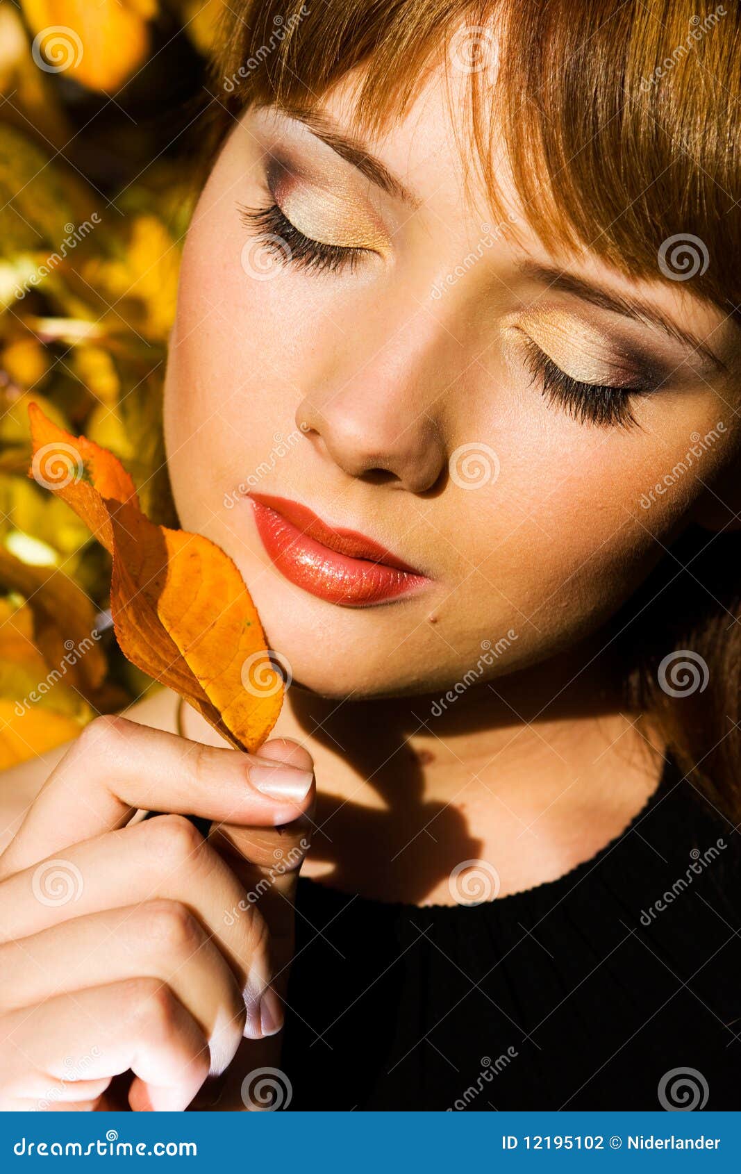 Autumn portrait stock photo. Image of girl, elegance - 12195102
