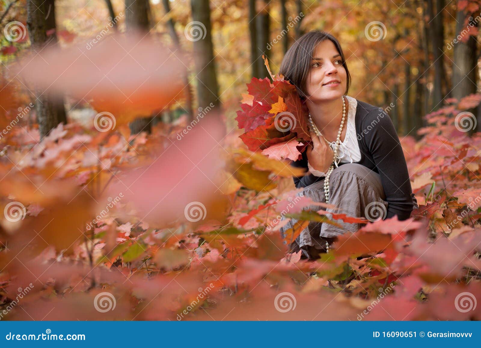 Autumn portrait stock image. Image of beautiful, park - 16090651