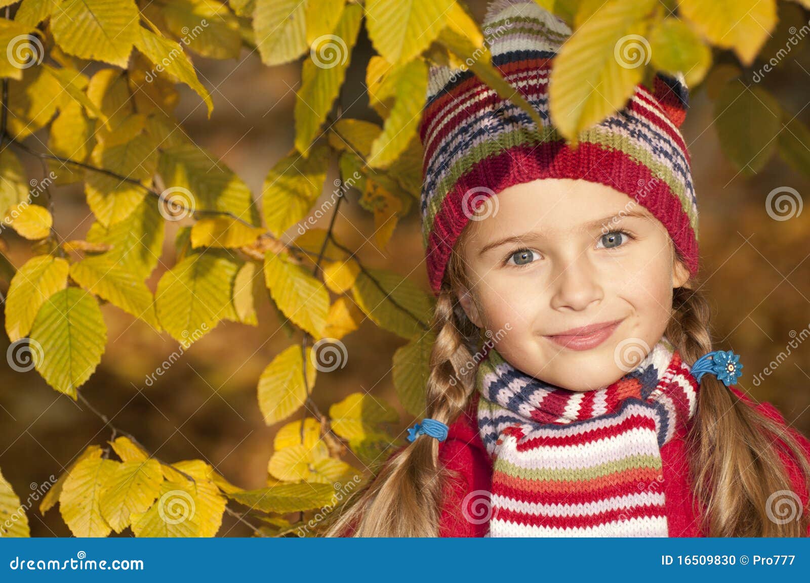 Autumn portrait stock photo. Image of november, girl - 16509830