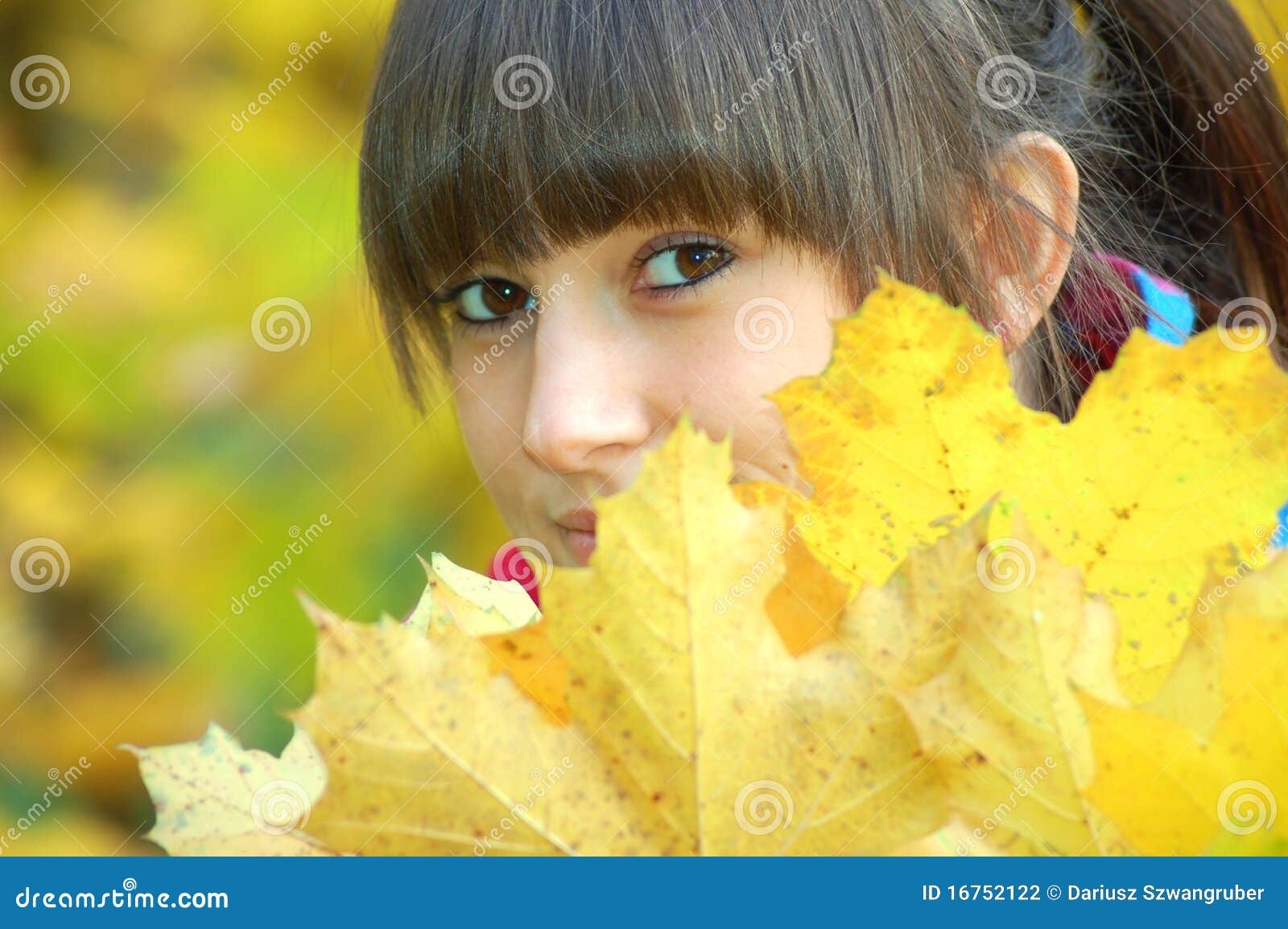 Autumn portrait stock photo. Image of ecology, hairdo - 16752122