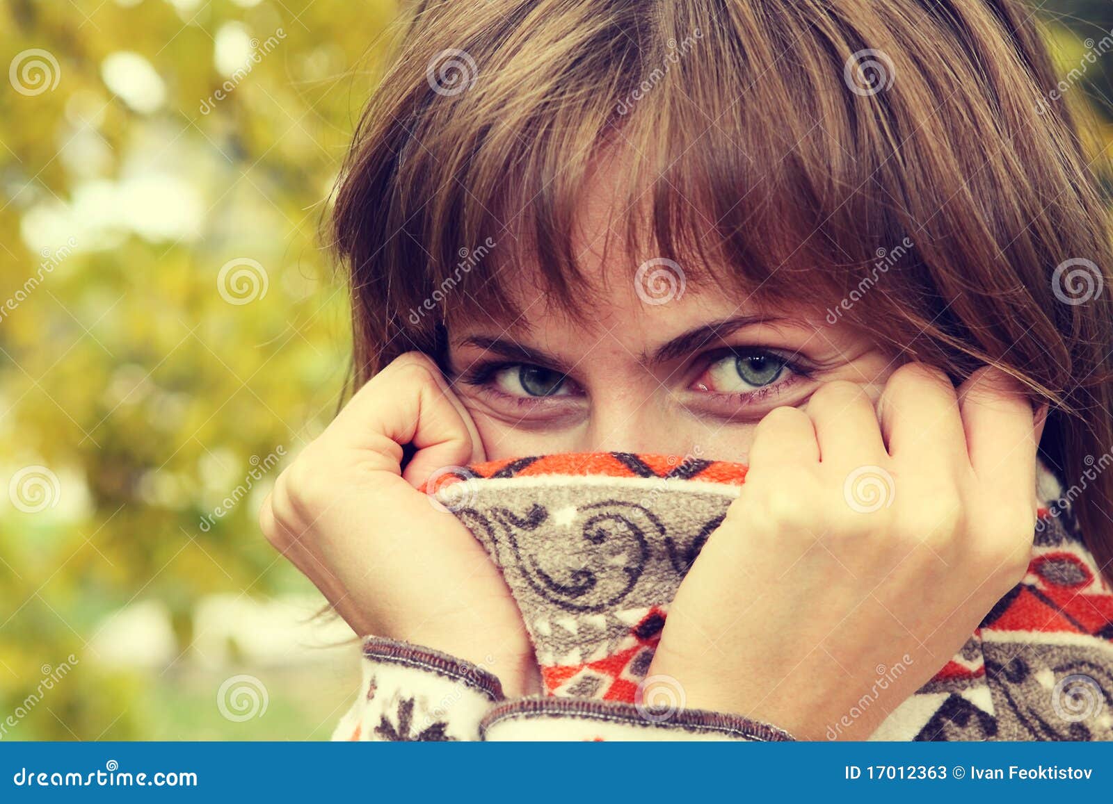 Autumn portrait stock image. Image of autumn, foliage - 17012363