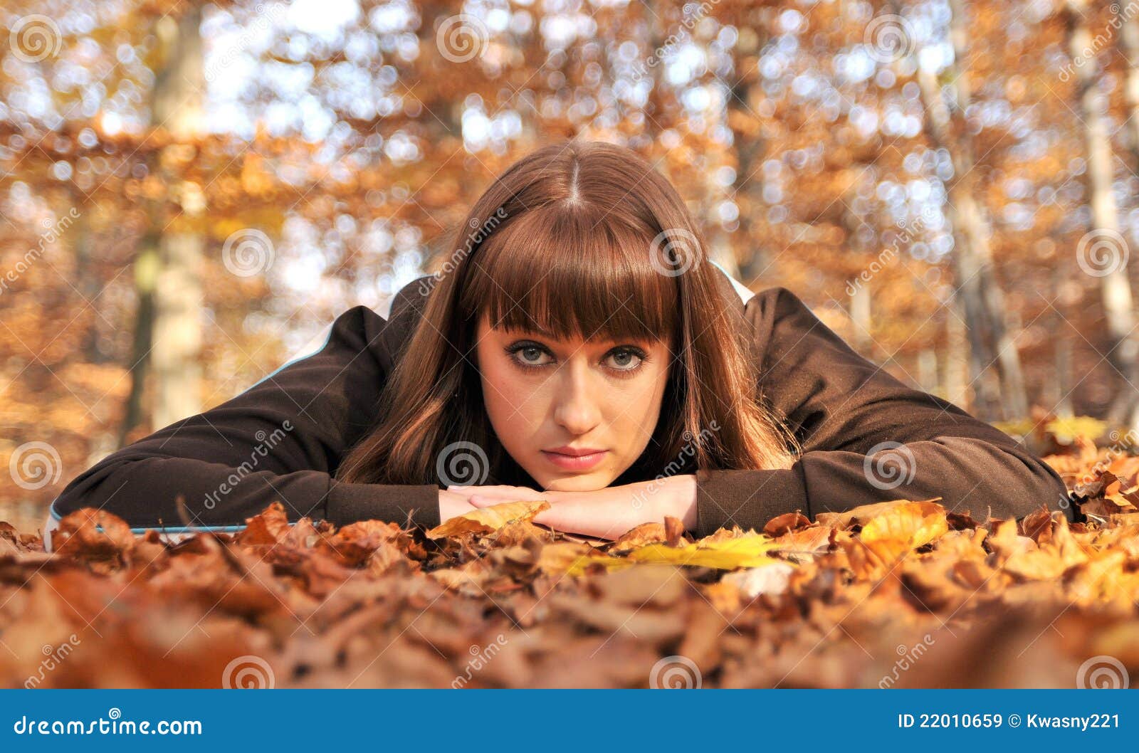 Autumn portrait. stock image. Image of brown, autumn - 22010659