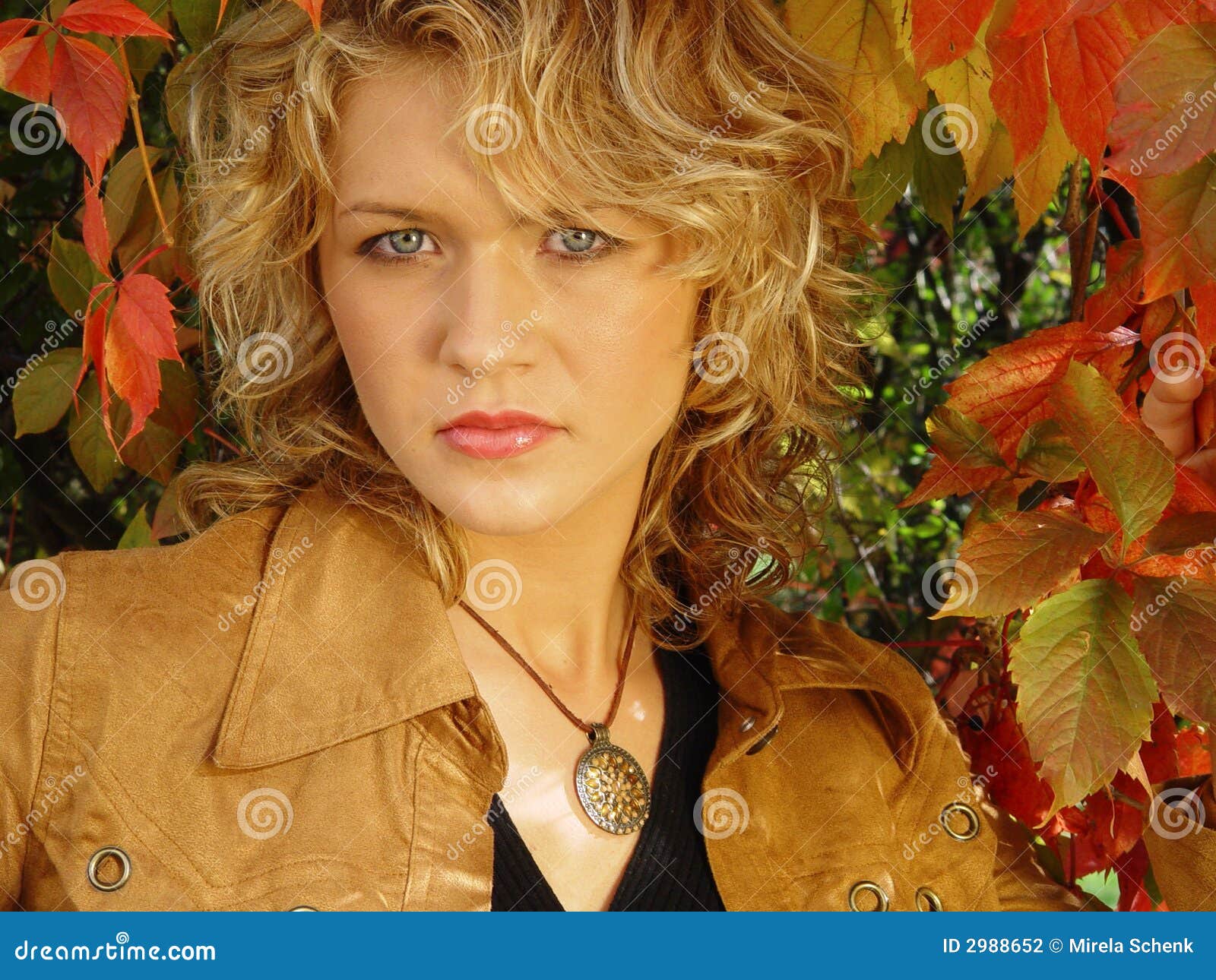 Autumn portrait stock photo. Image of young, human, adult - 2988652