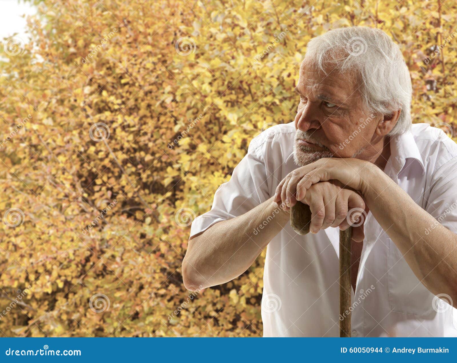 Autumn. Portrait of a Senior Stock Photo - Image of loneliness ...