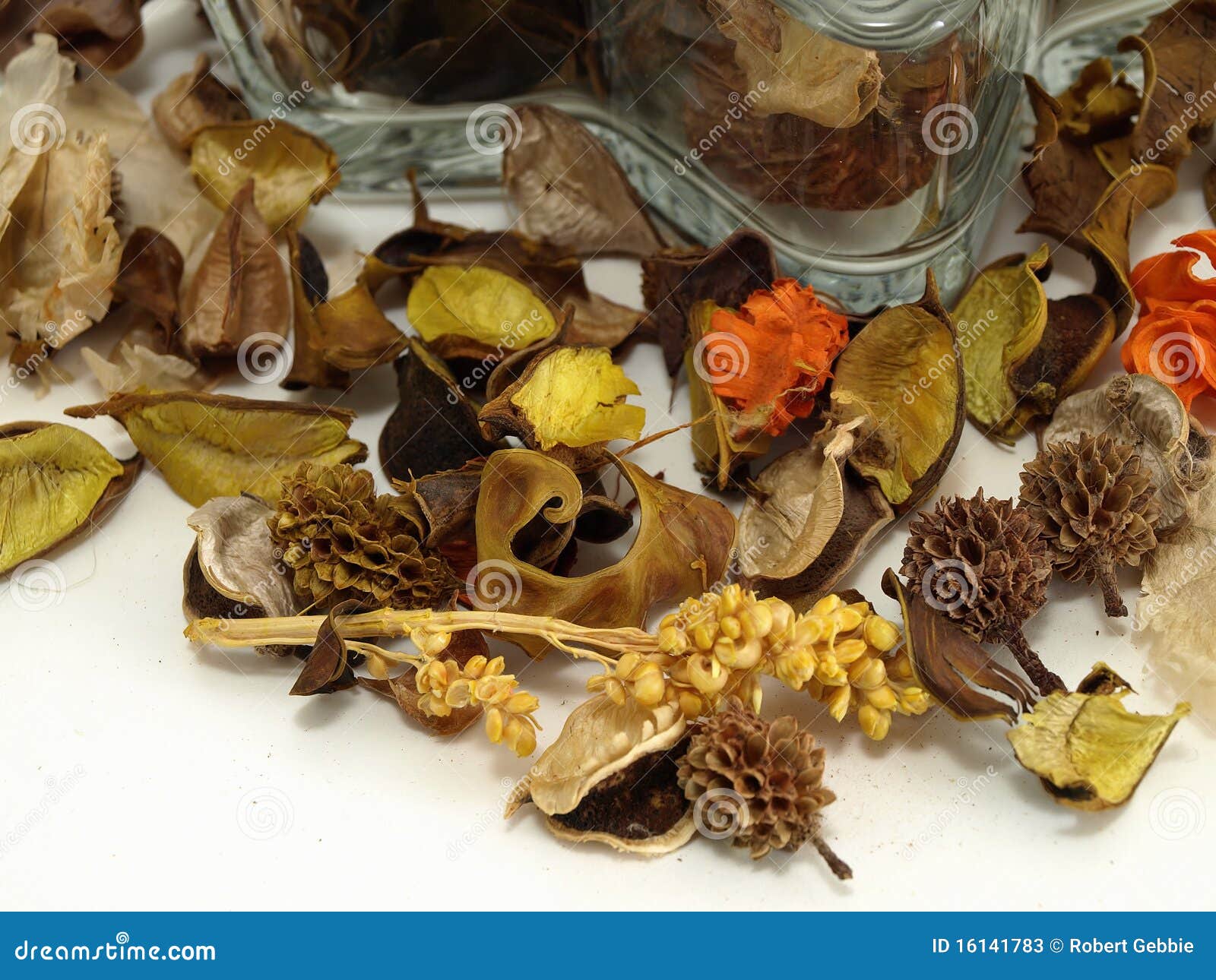 Autumn Potpourri stock image. Image of color, yellow - 16141783
