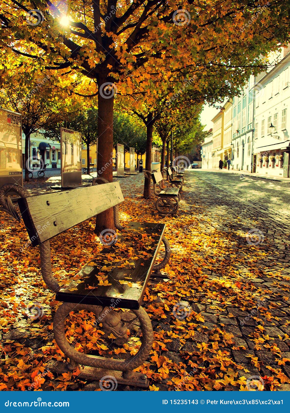 Autumn in Prague / Kampa stock image. Image of leaves - 15235143