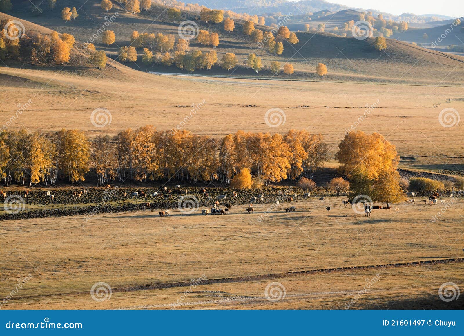 Autumn prairie stock image. Image of landscape, grass - 21601497