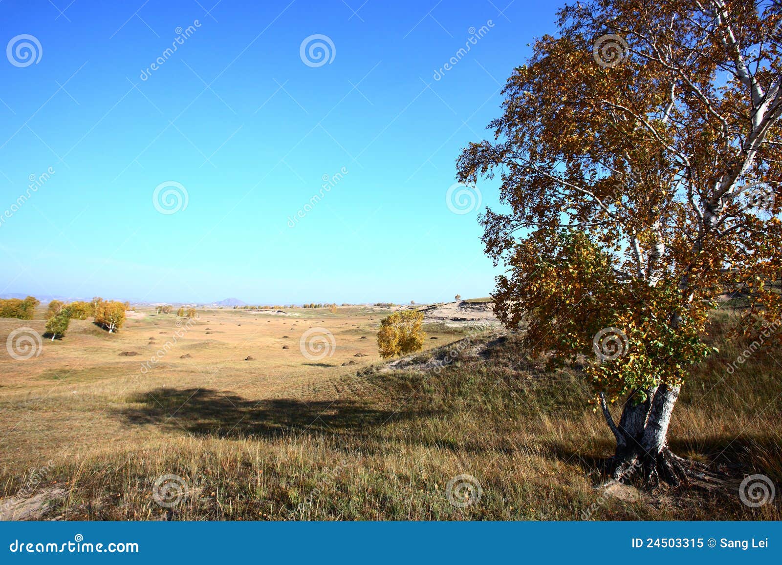 Autumn prairie stock image. Image of landscapes, grass - 24503315
