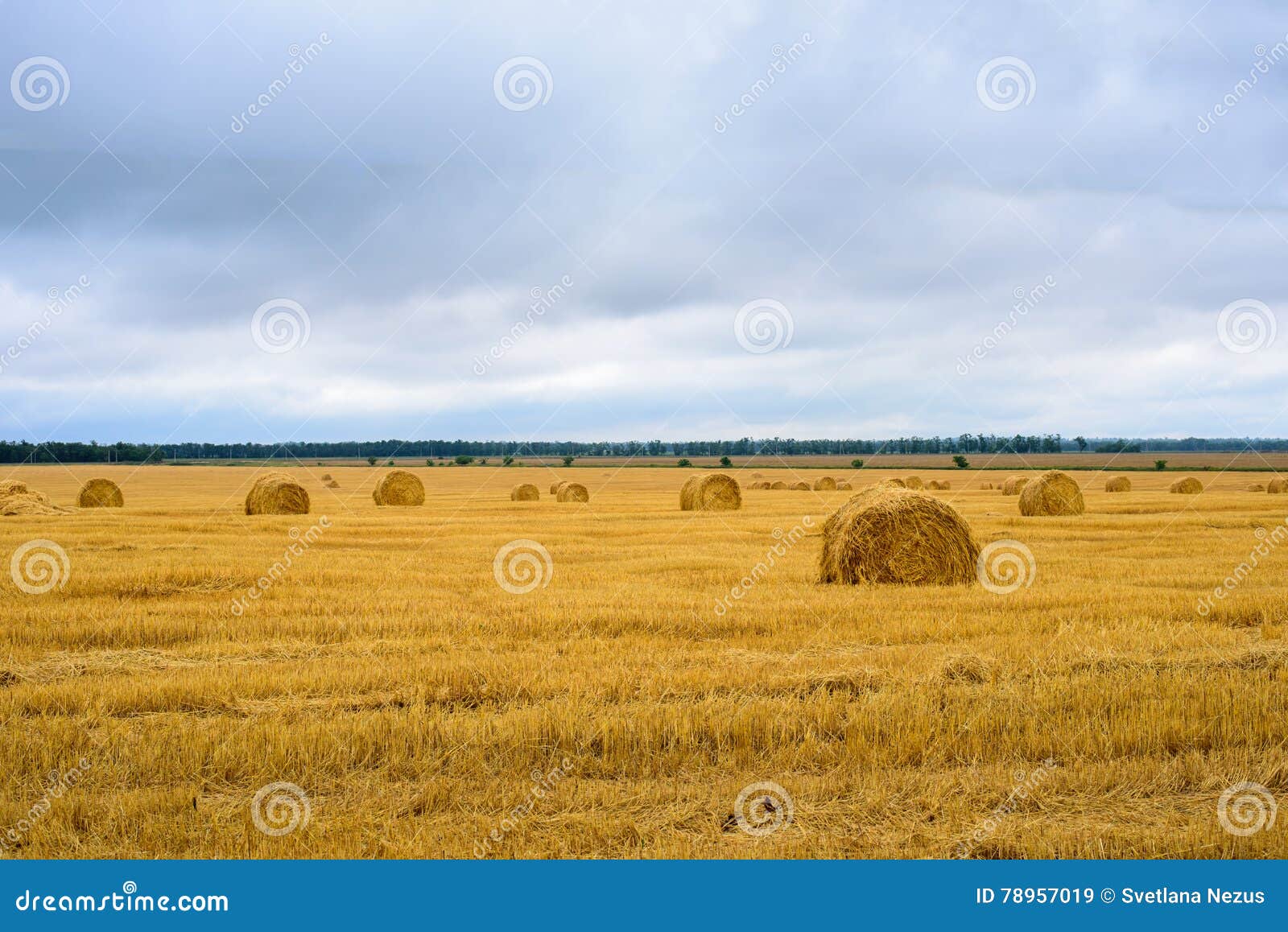 Autumn prairie stock image. Image of concepts, locations - 78957019