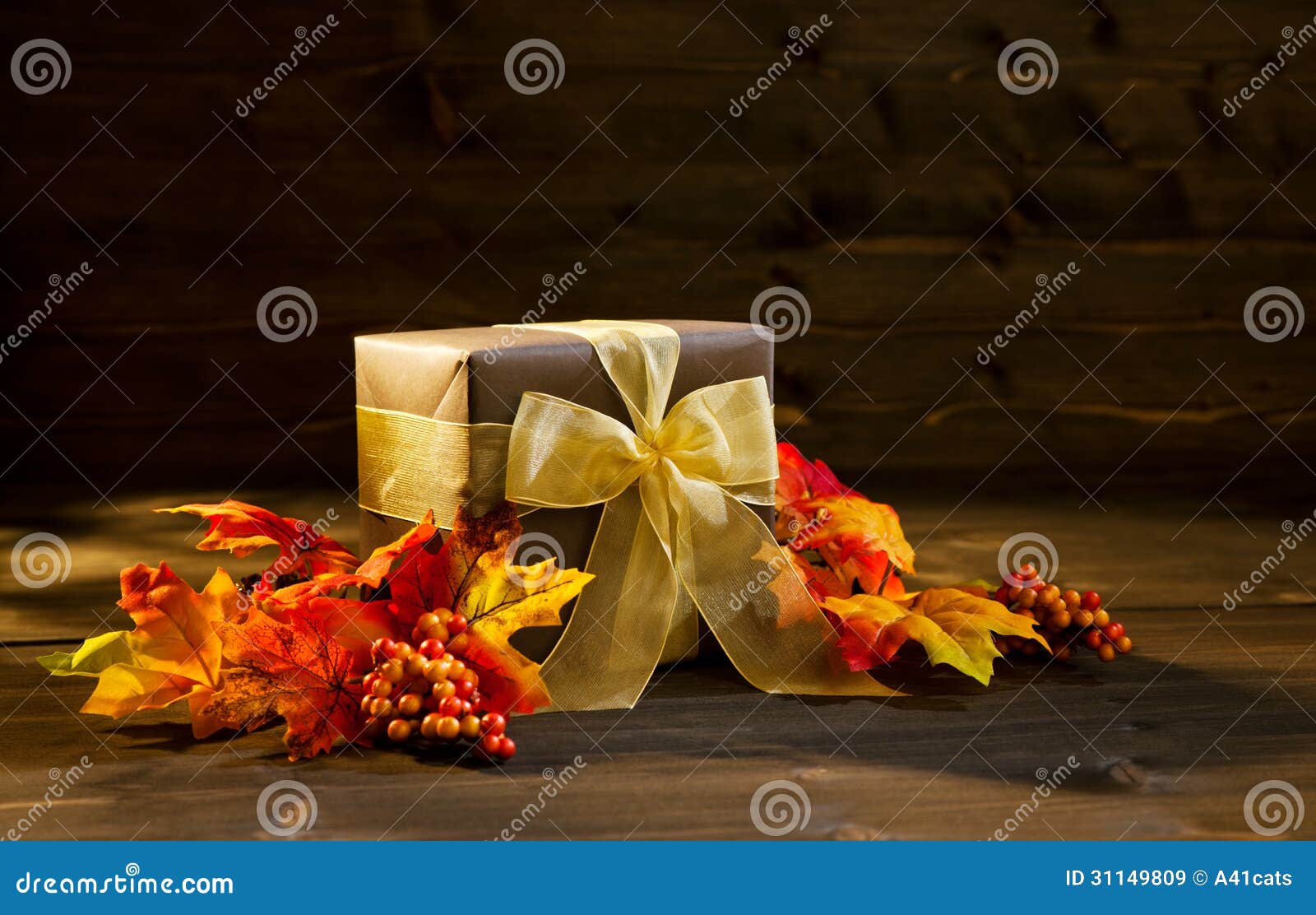 Autumn present stock image. Image of closeup, harvest - 31149809