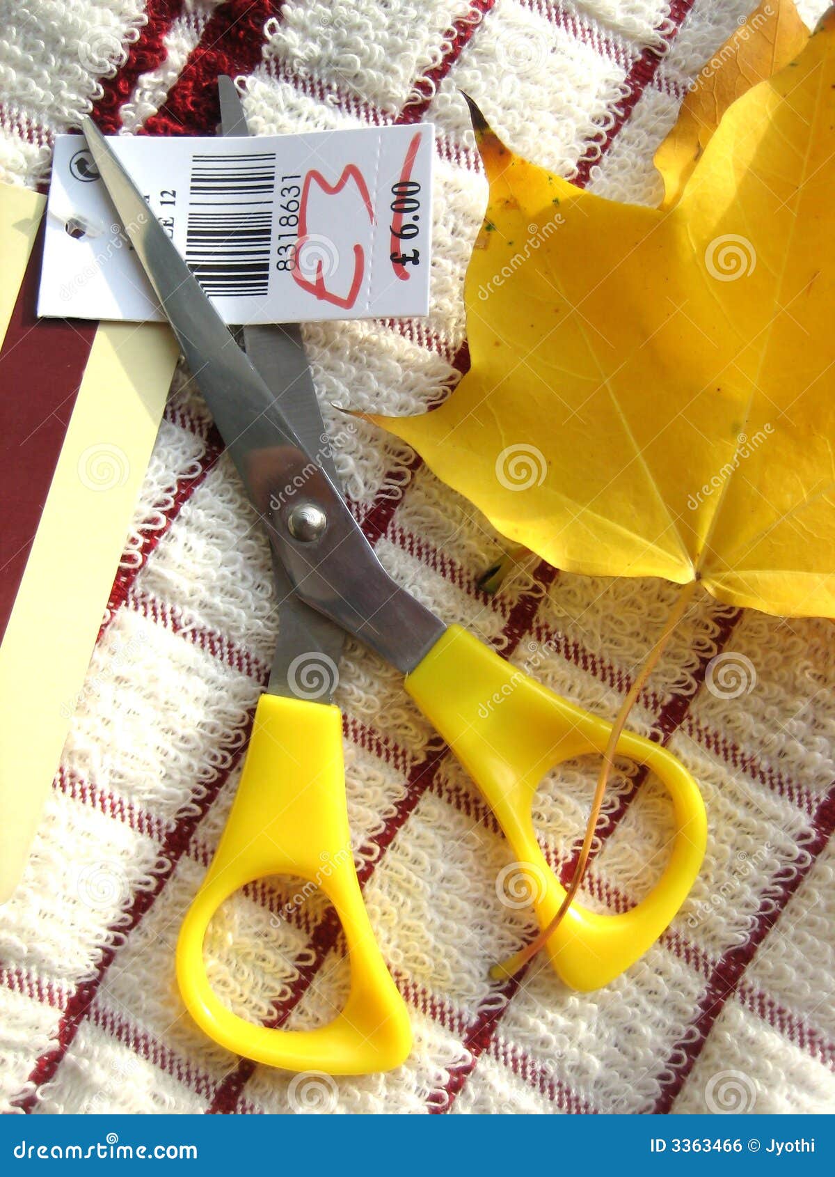 Autumn price cut stock photo. Image of business, pattern - 3363466