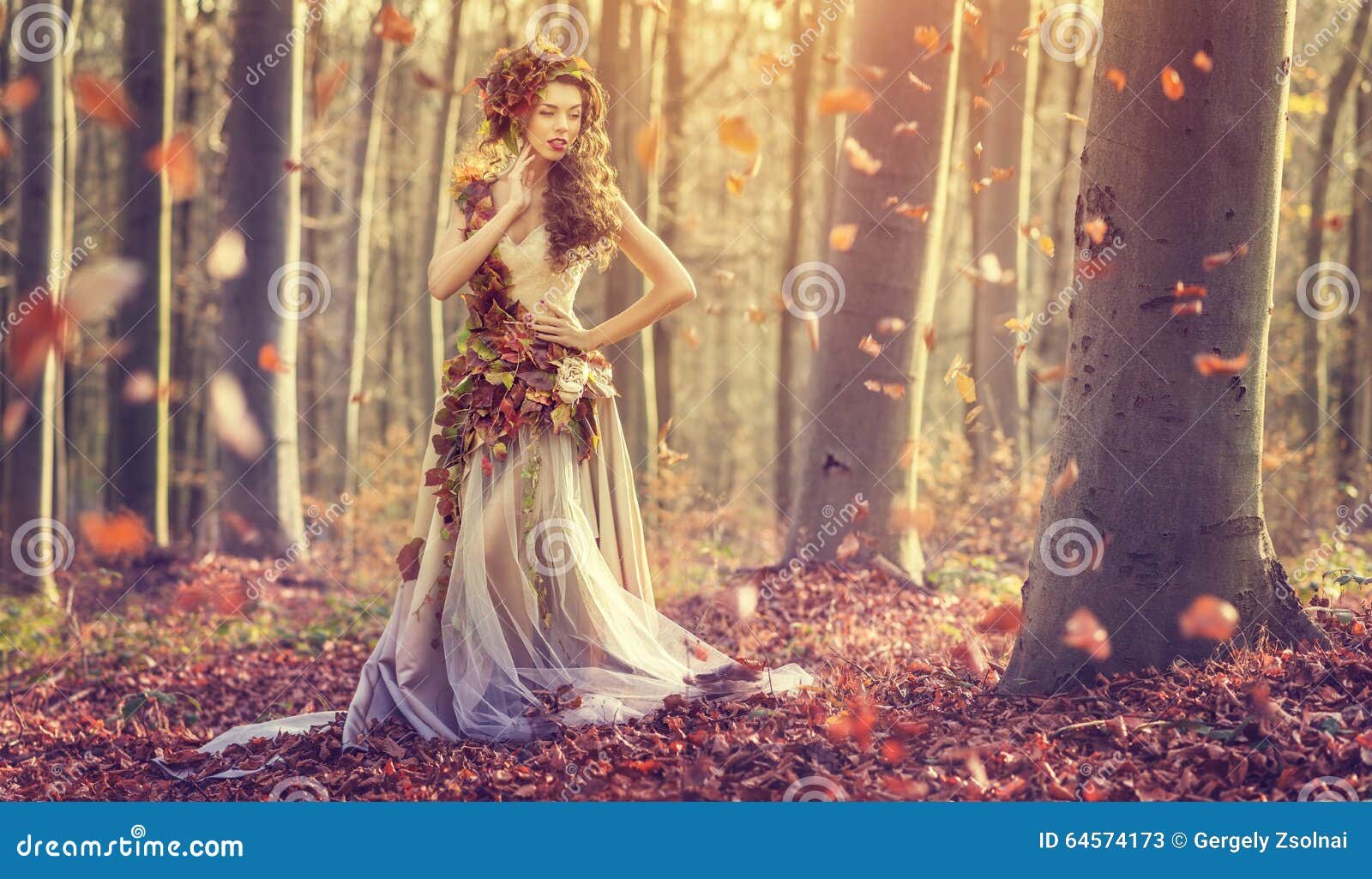 Autumn Princess stock image. Image of model, dress, lifestyle - 64574173