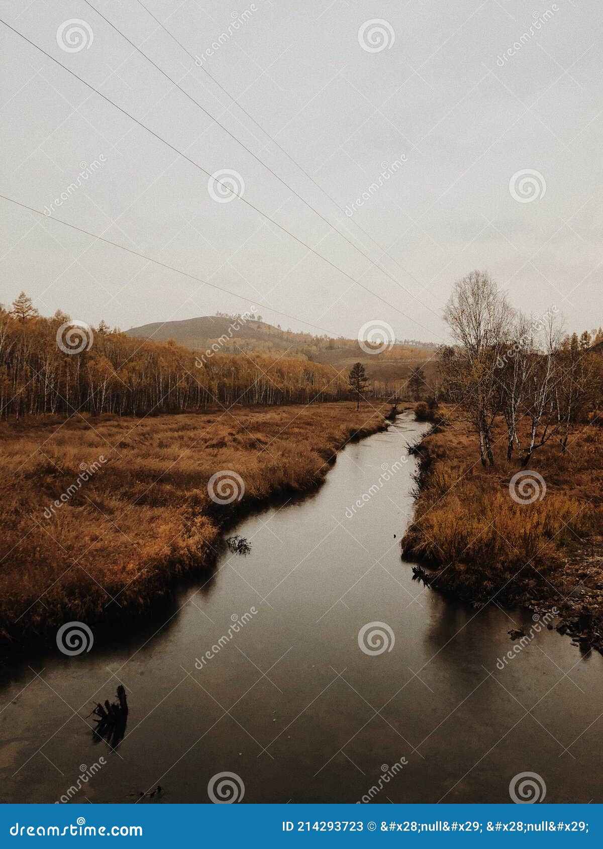 Autumn 2020 stock image. Image of life, moment, leraparhomchuk - 214293723