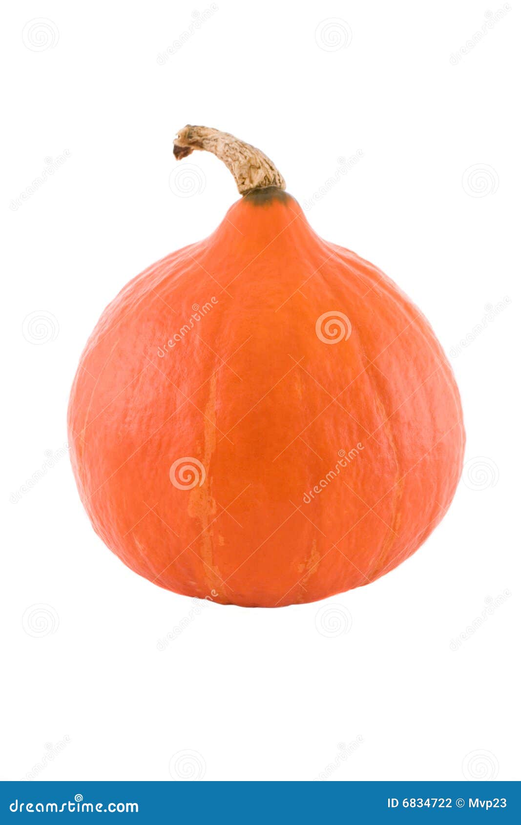 Autumn pumkin stock photo. Image of single, vegetable - 6834722