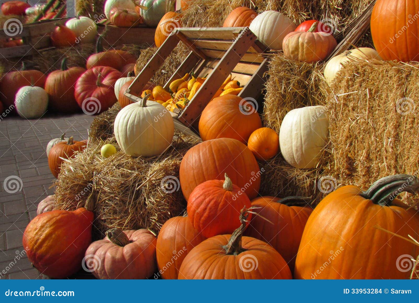 Autumn Pumpkin Display stock photo. Image of orange, colorful - 33953284