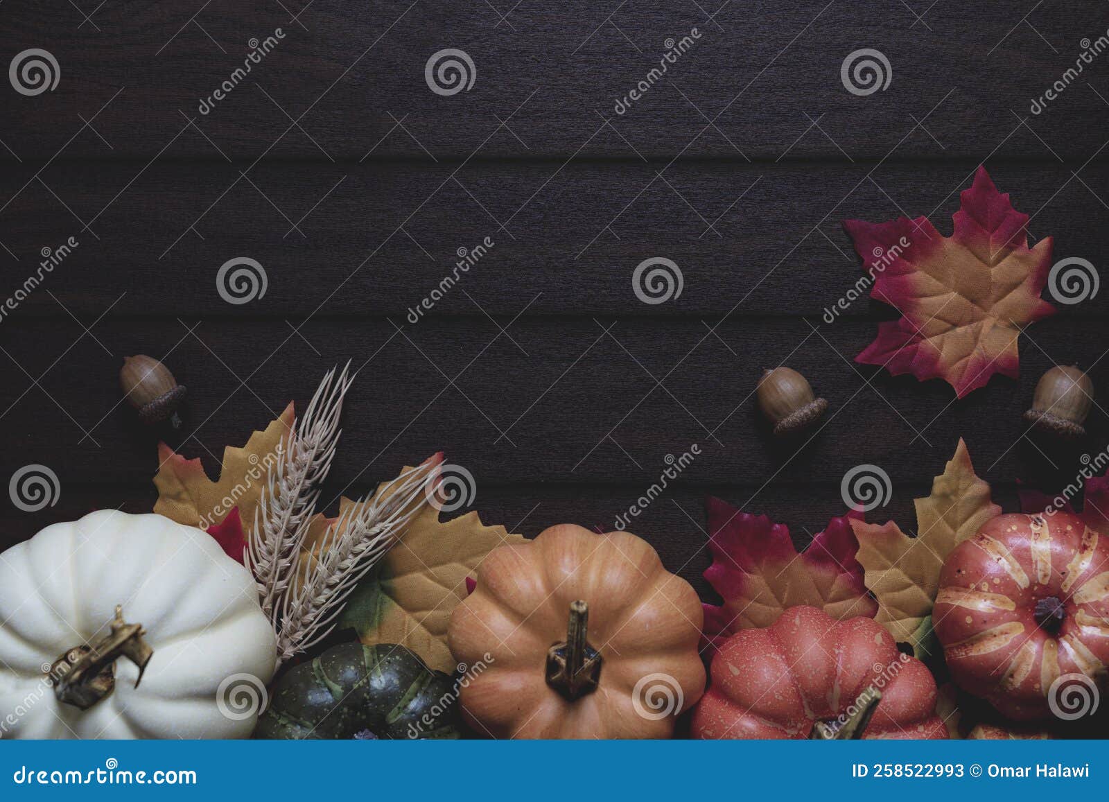Autumn Pumpkin and Fall Colored Leaves Copy Past Stock Image - Image of ...