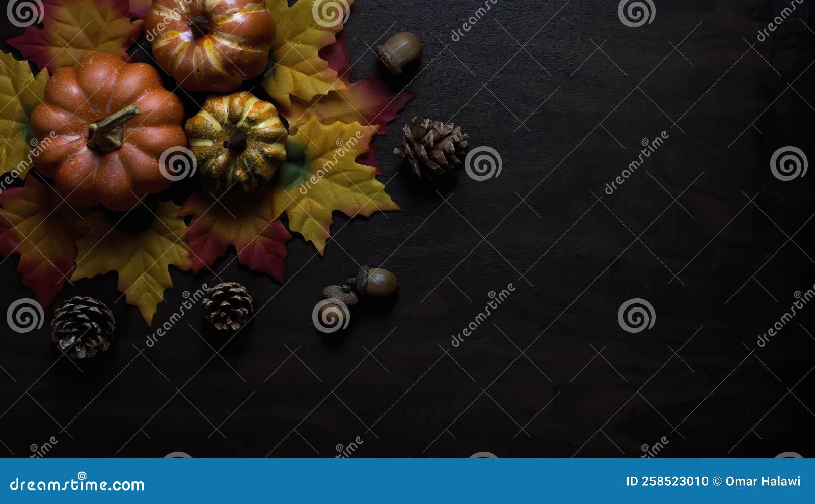 Autumn Pumpkin and Fall Colored Leaves Copy Past Stock Photo - Image of ...